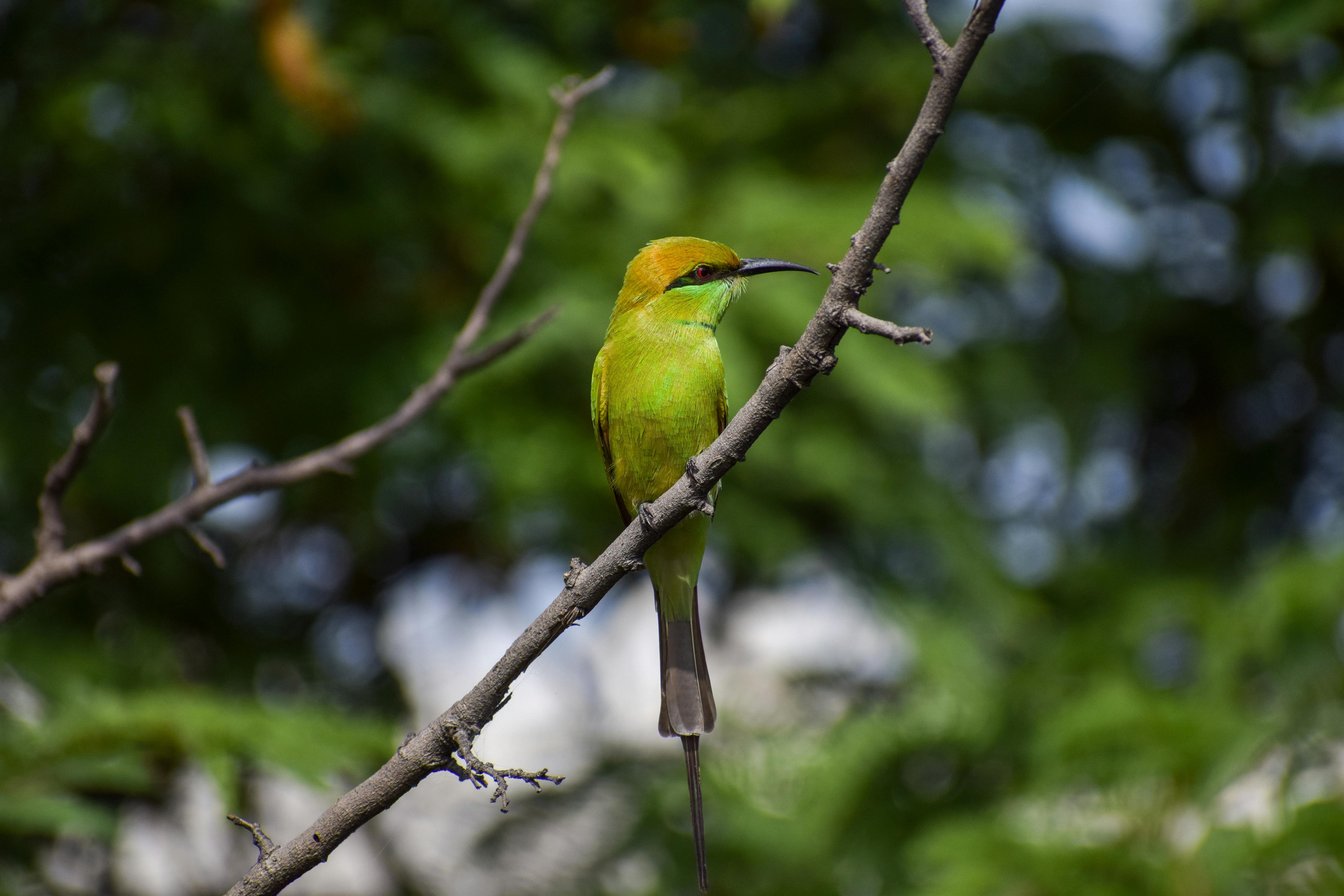 Color: Green Photos, Download The BEST Free Color: Green Stock Photos ...