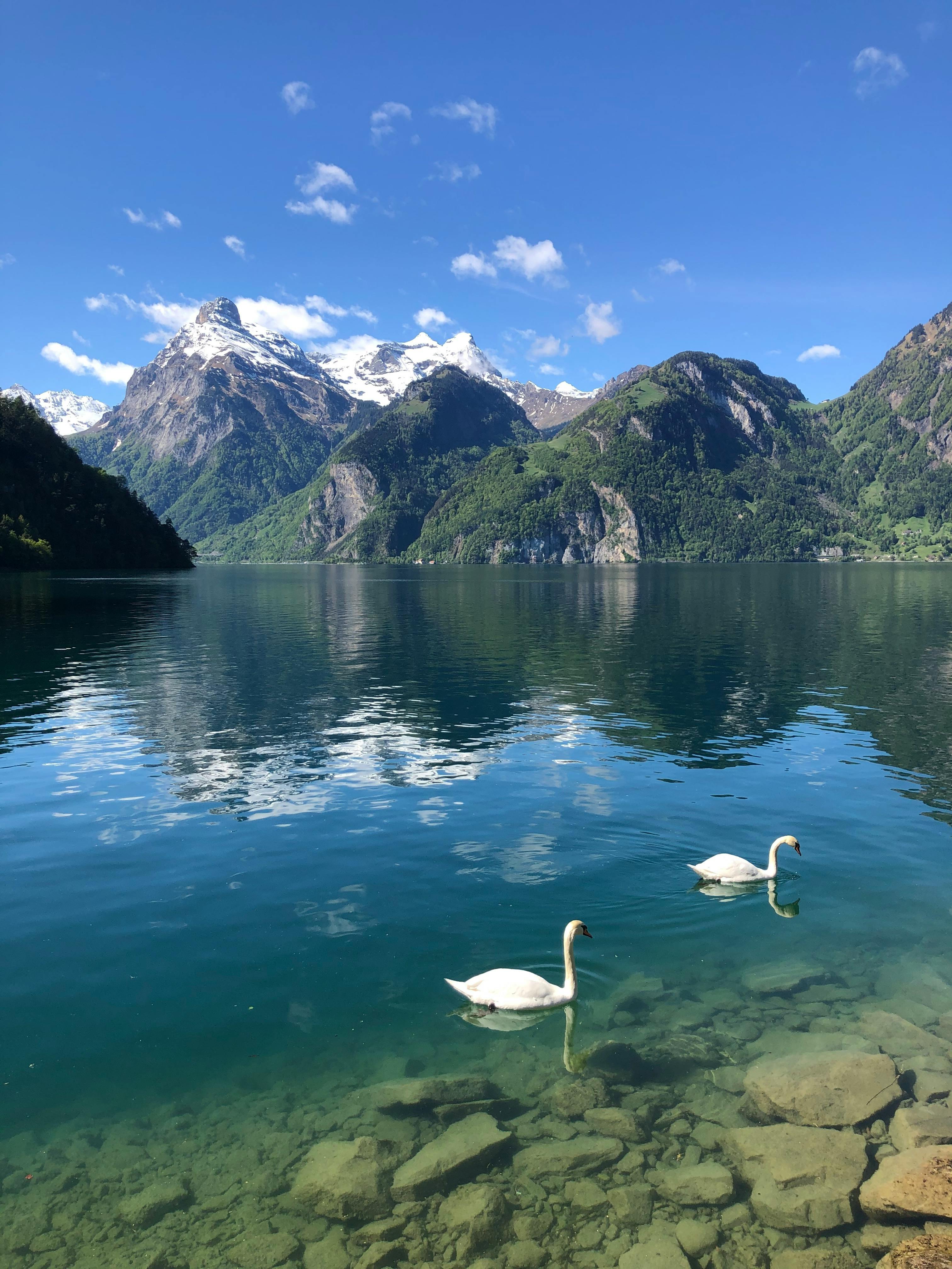 Anime Uri Photos, Download The BEST Free Anime Uri Stock Photos & HD Images