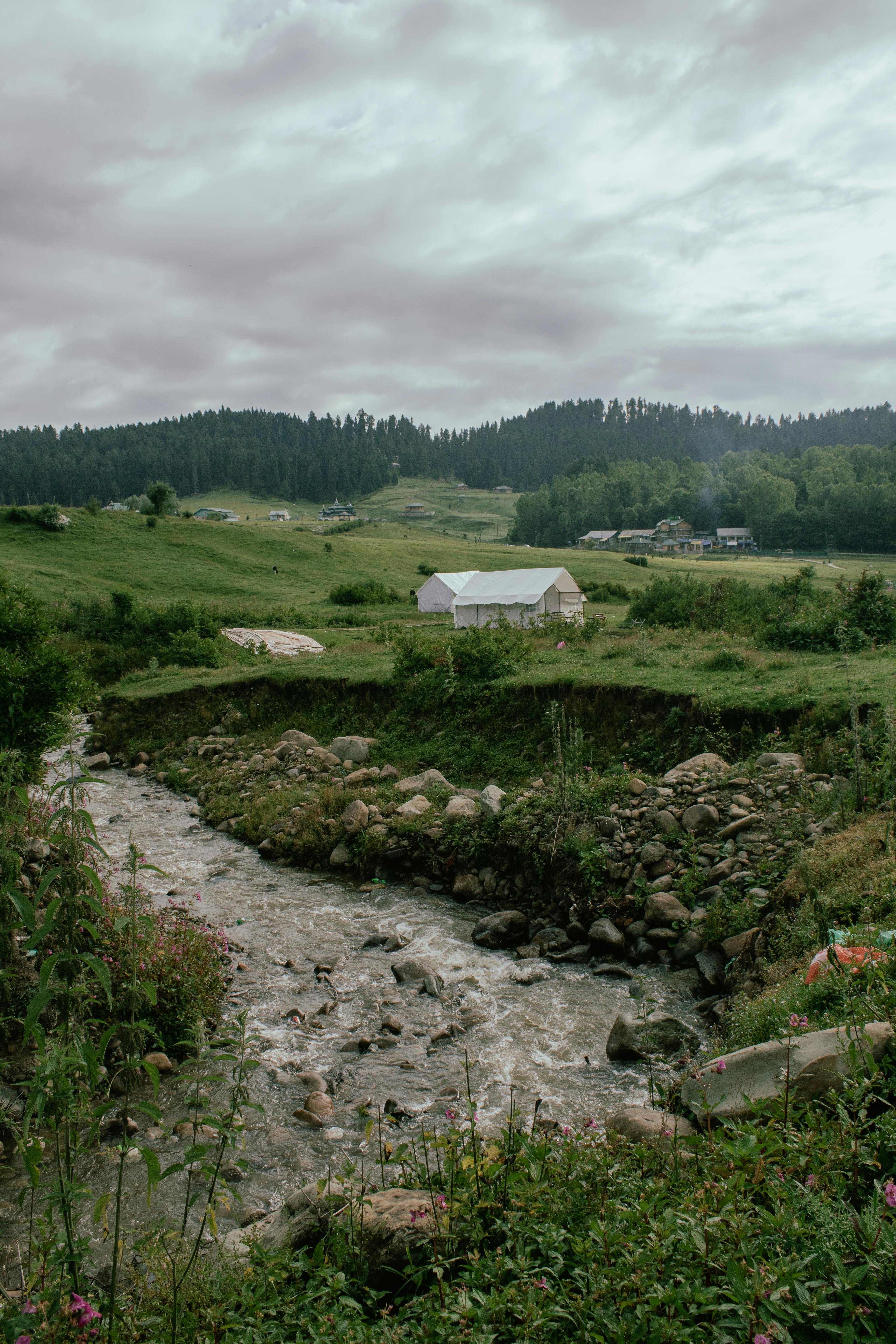 Stream in Countryside · Free Stock Photo