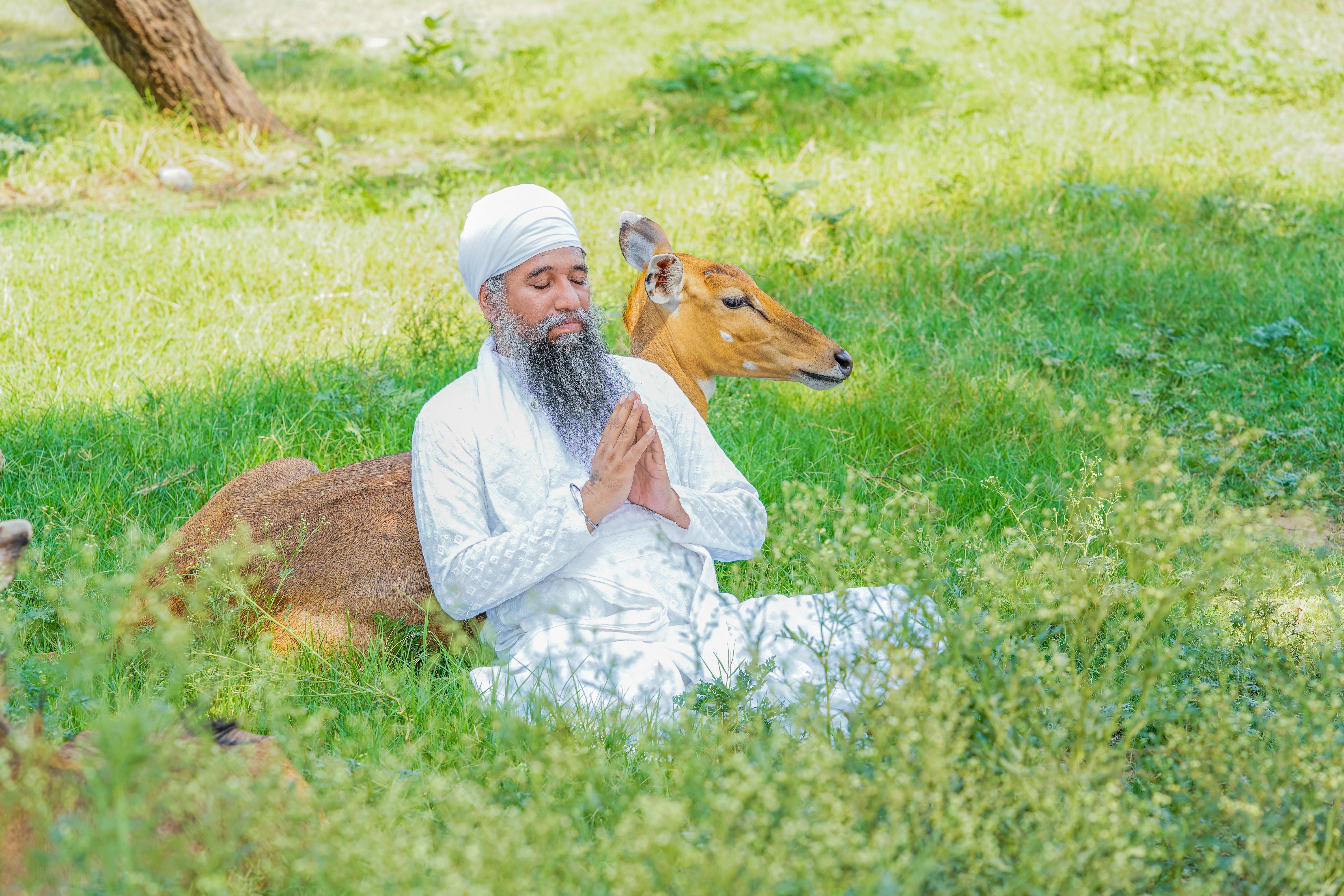 Prayer Deer Photos, Download The BEST Free Prayer Deer Stock Photos ...