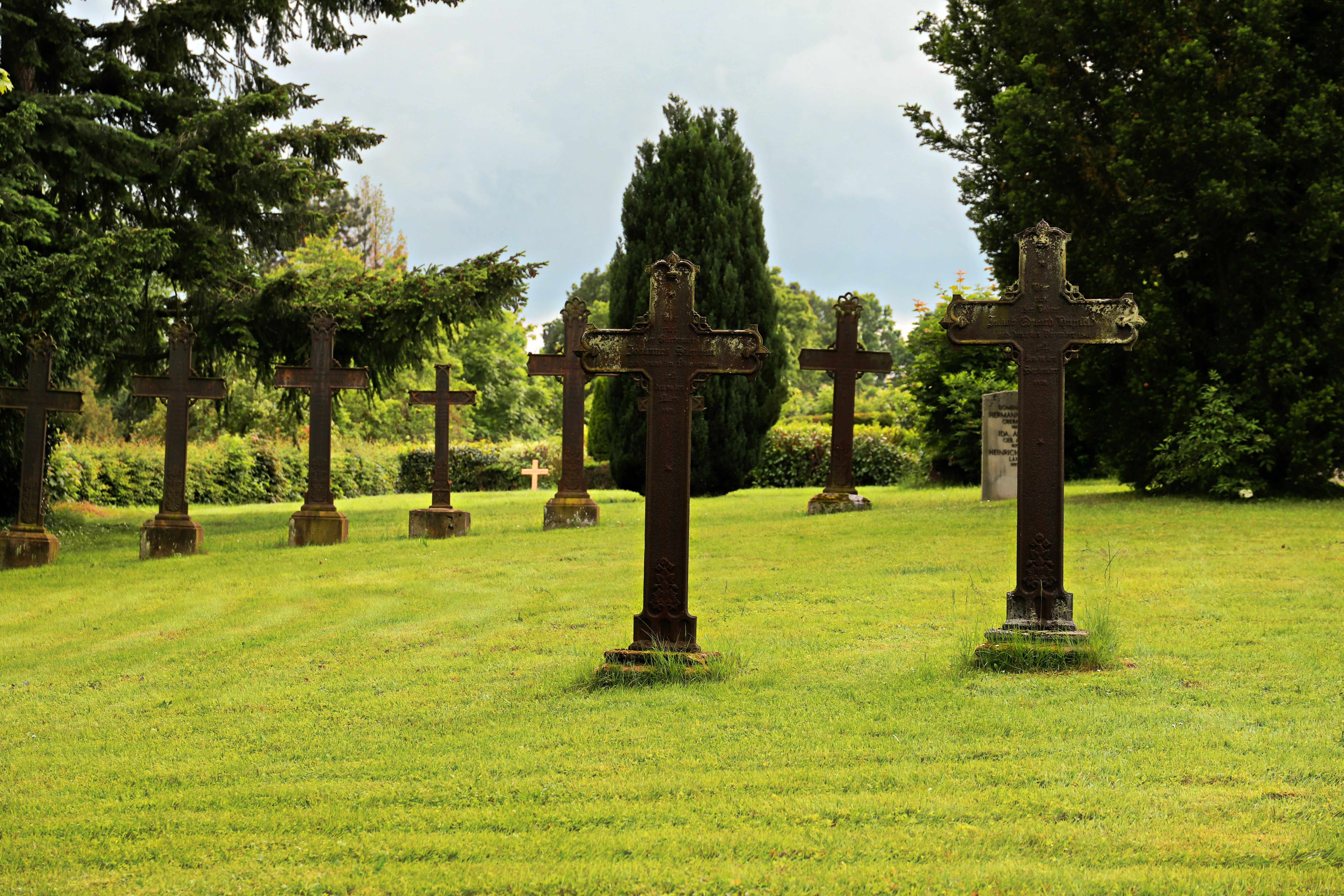 Crosses at Cemetery in Countryside · Free Stock Photo