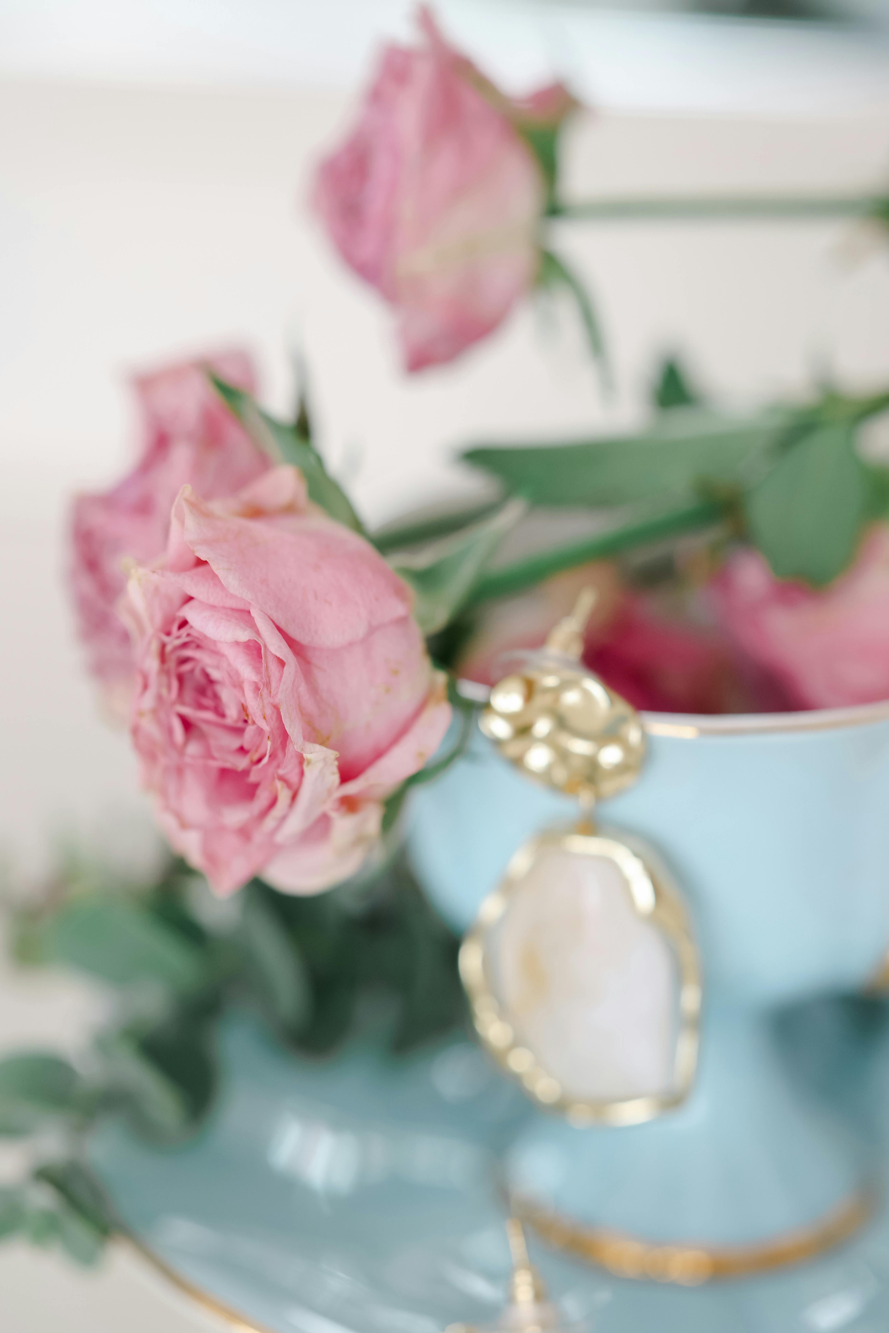 Pink Roses in Cup · Free Stock Photo