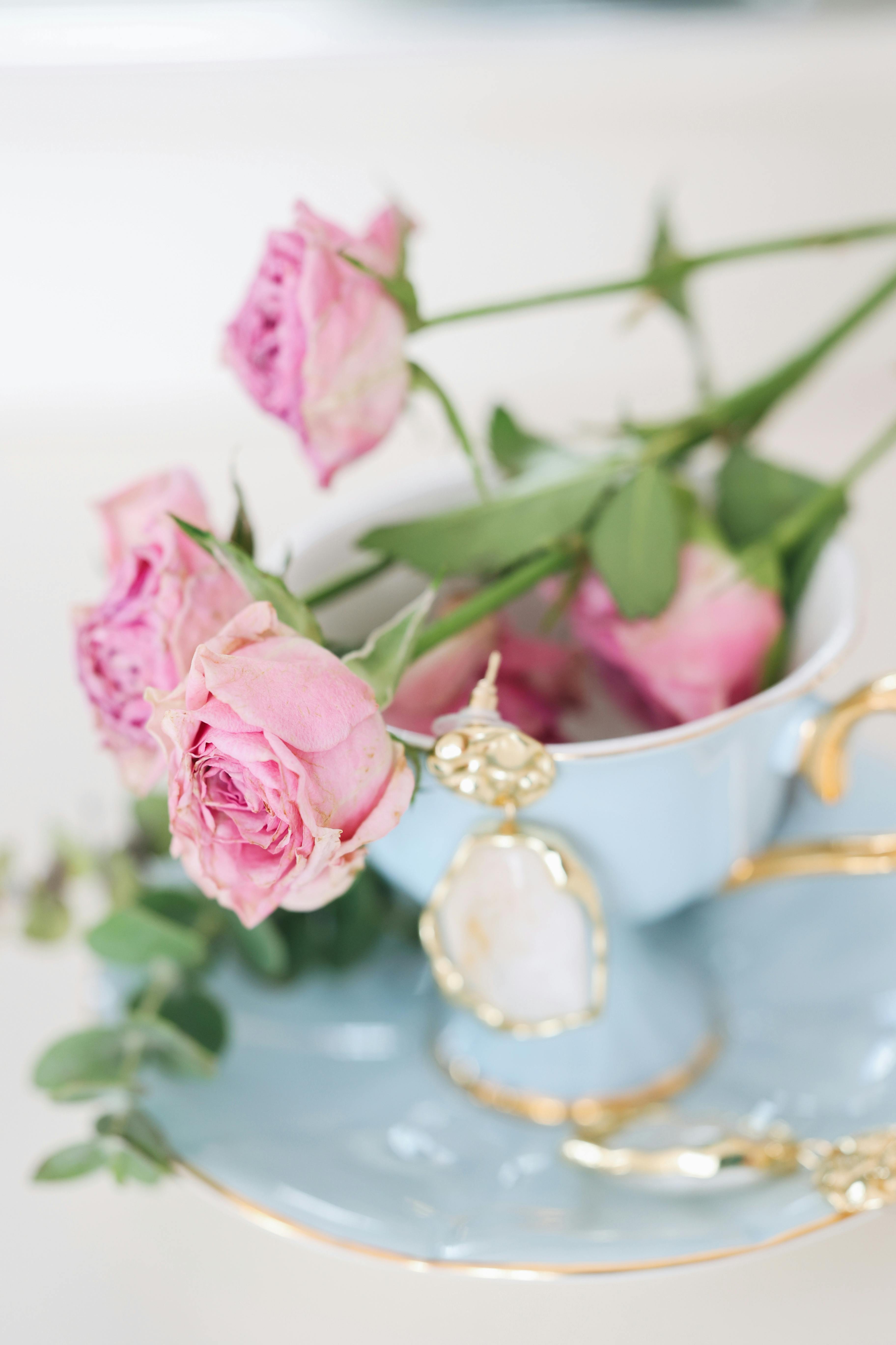 Pink Roses in Cup · Free Stock Photo