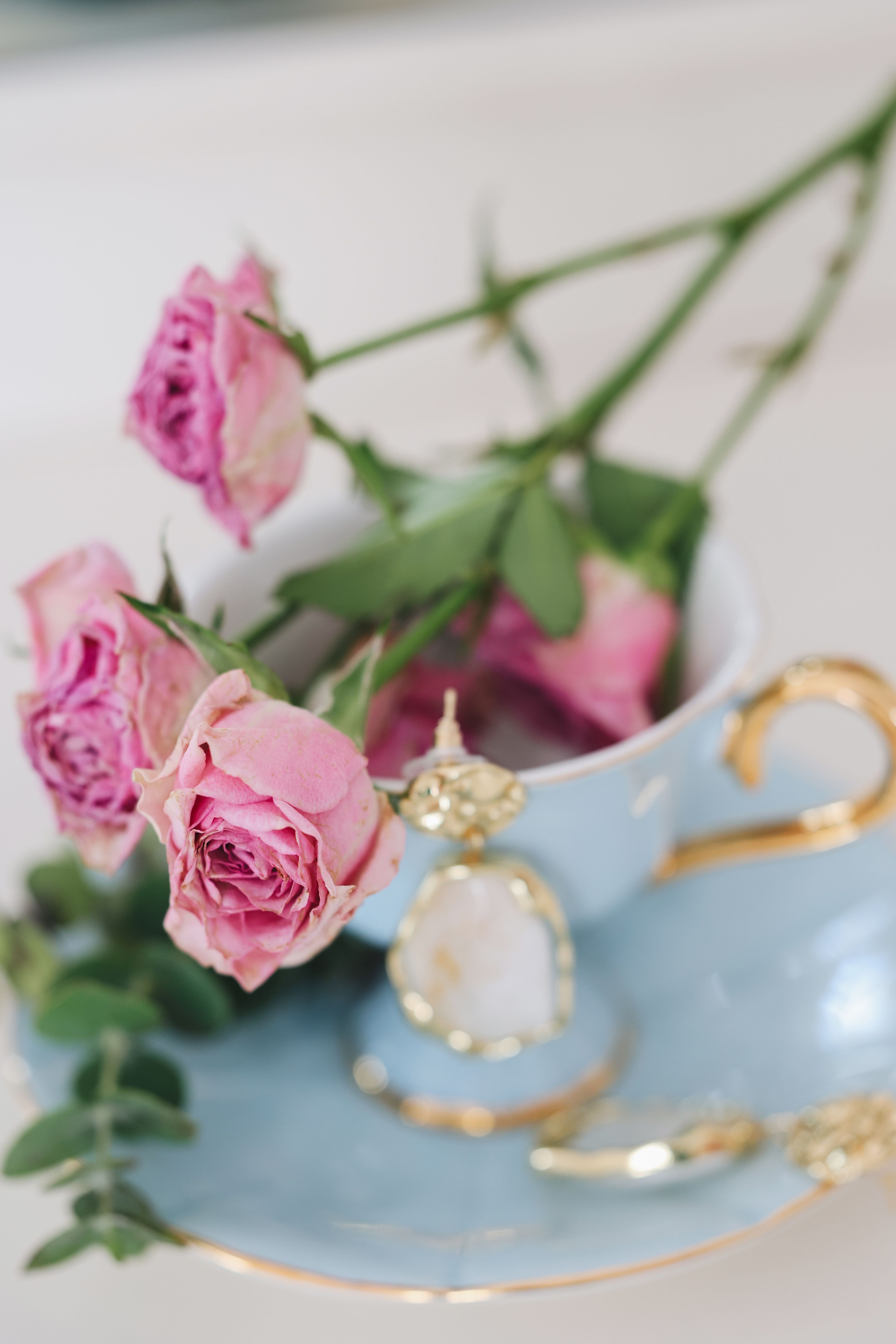 Pink Roses in Cup · Free Stock Photo