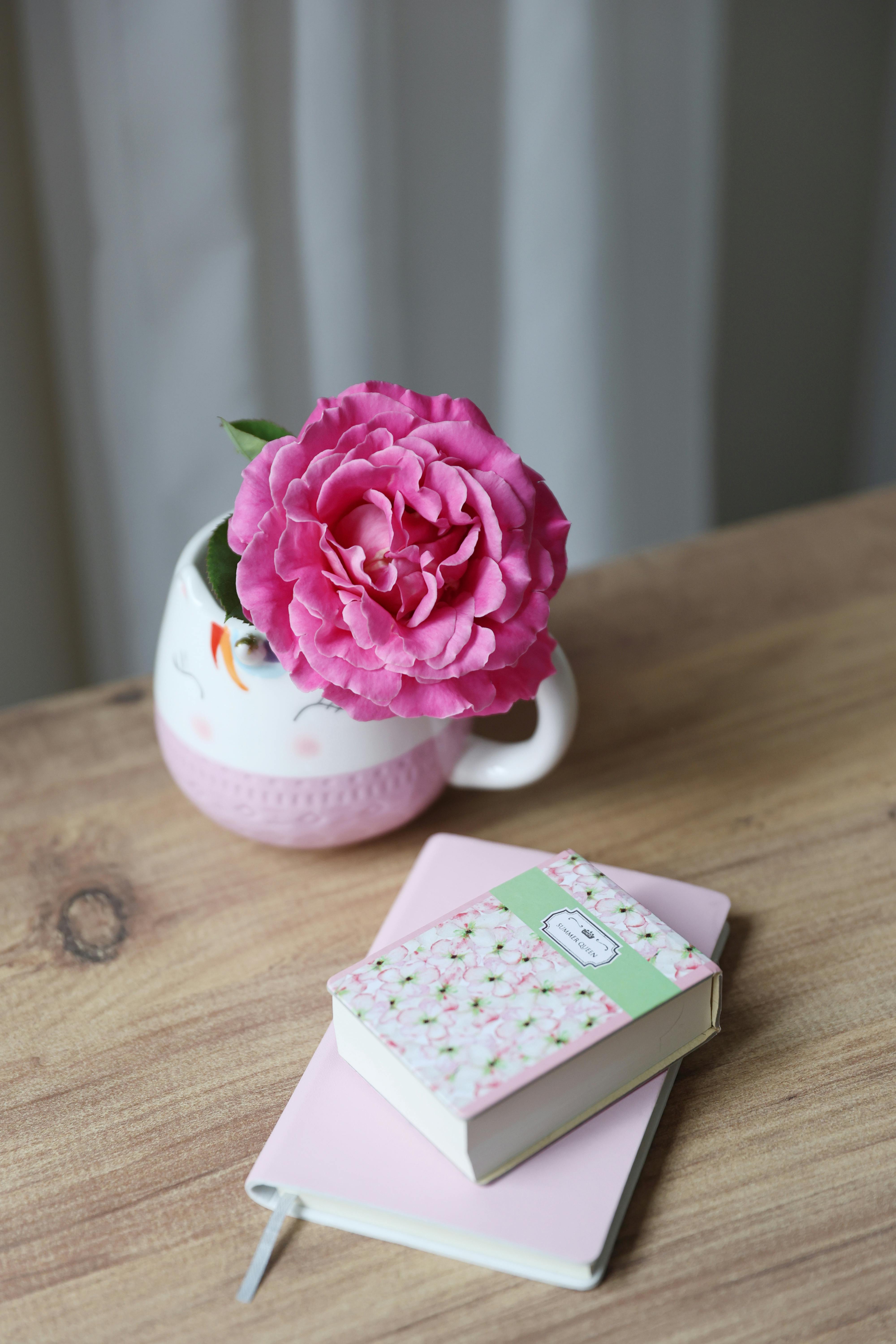 Pink Rose Flower in Cup near Notebooks · Free Stock Photo