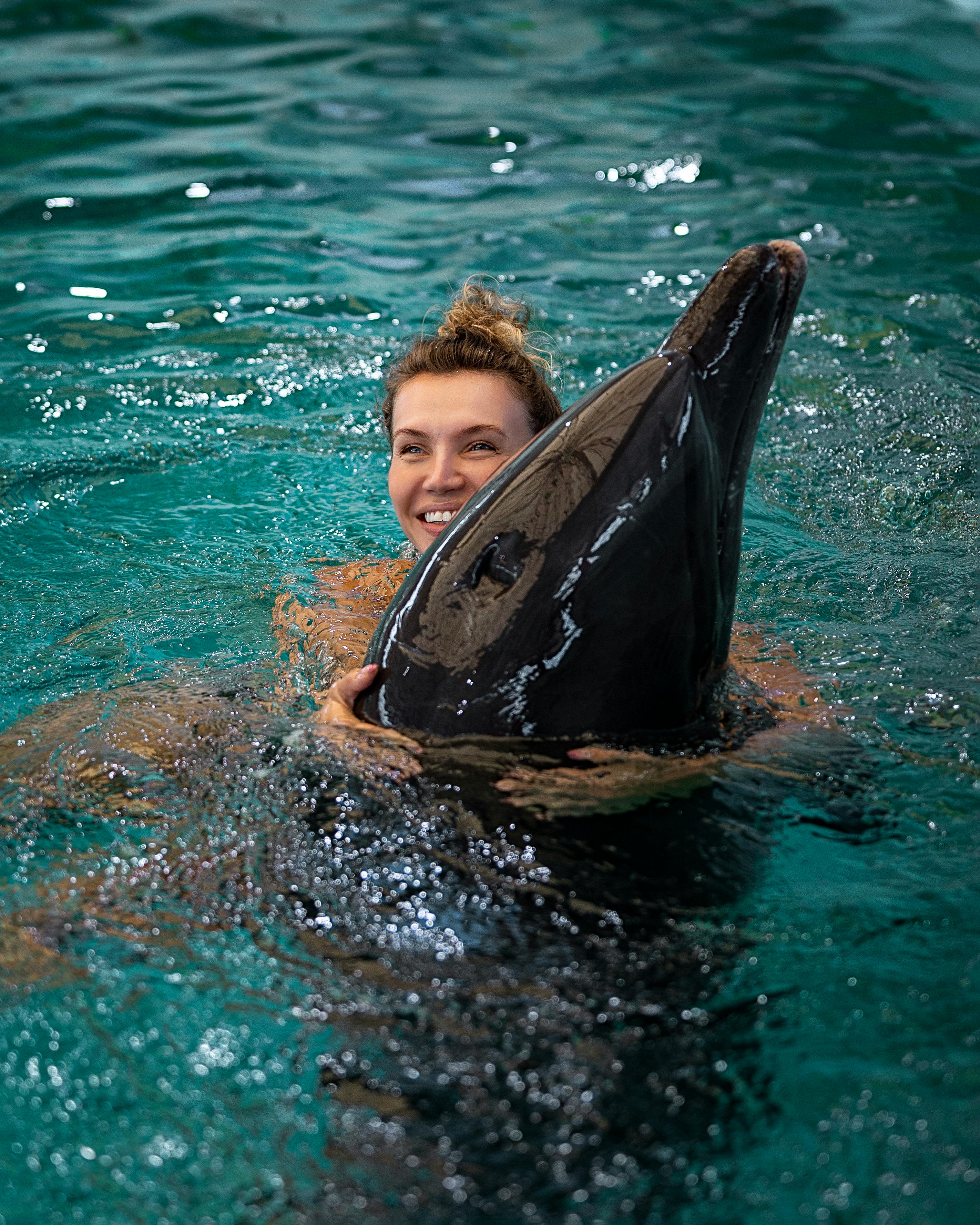 Gray Dolphin on Blue Water · Free Stock Photo