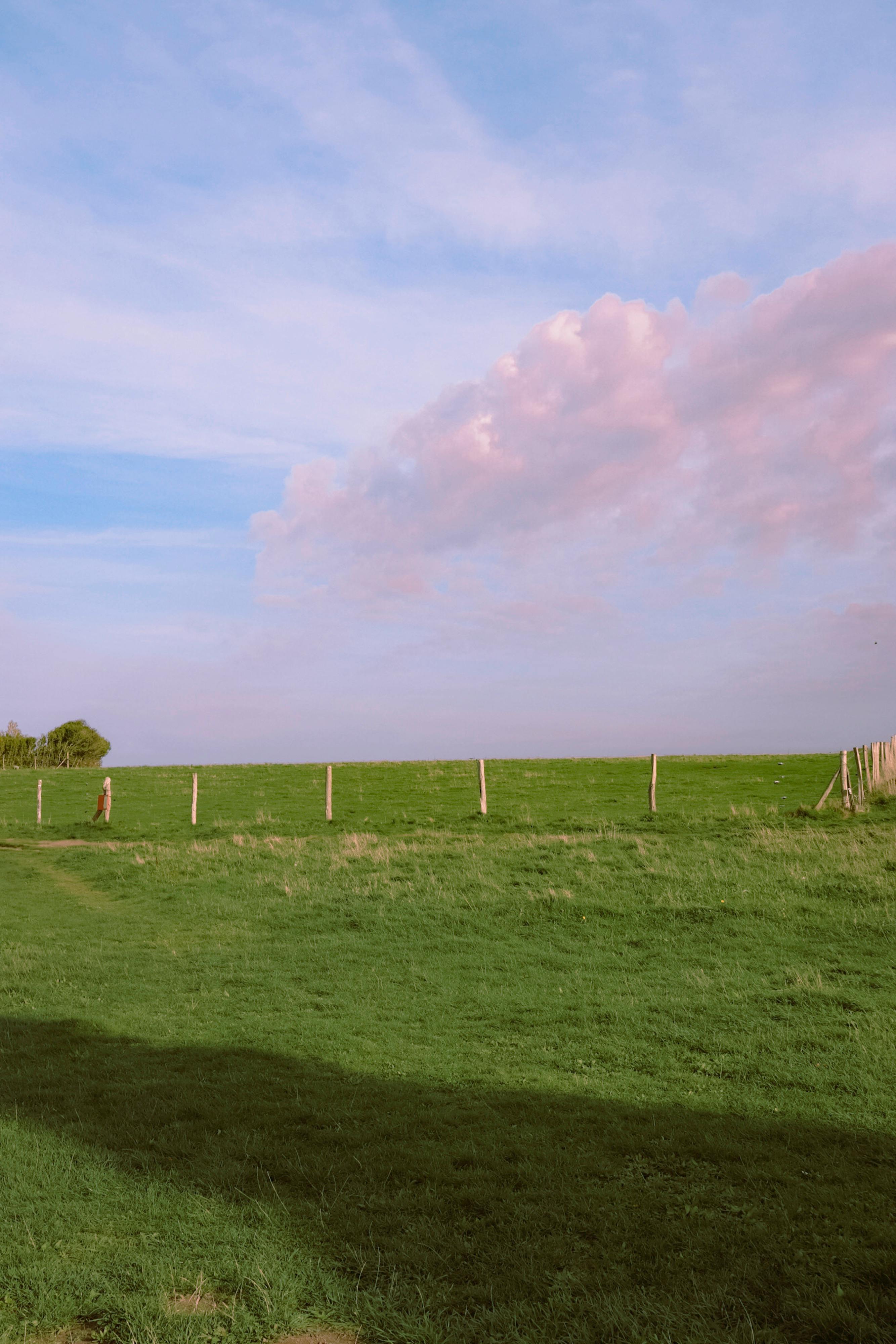 Céline - Photography