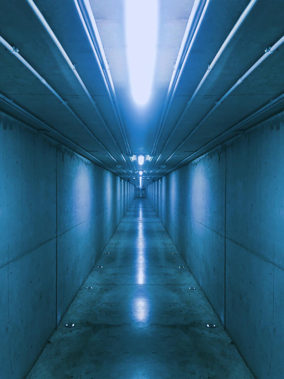 Corridor Photos, Download The BEST Free Corridor Stock Photos & HD Images