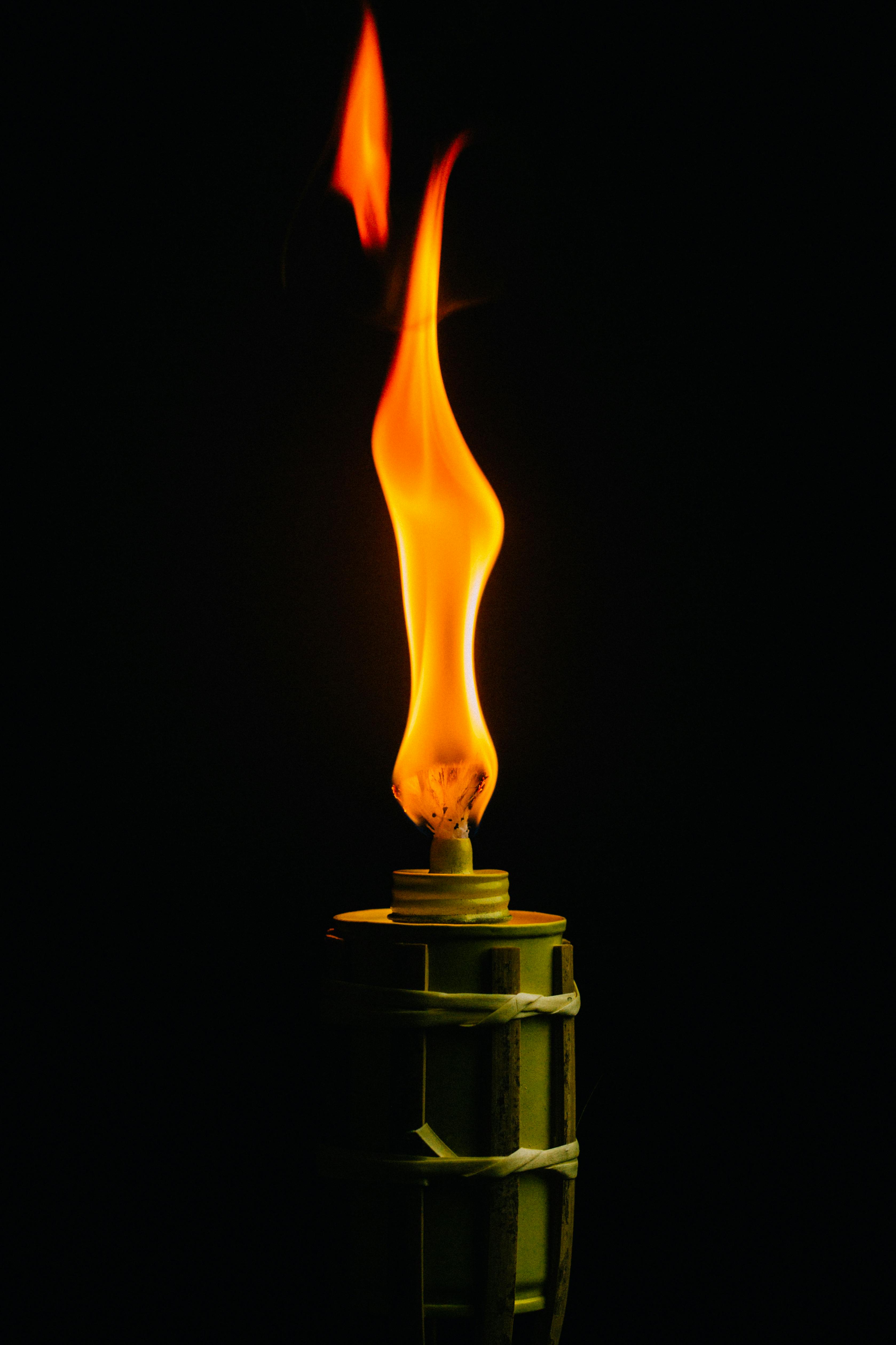 Green Lit Torch · Free Stock Photo