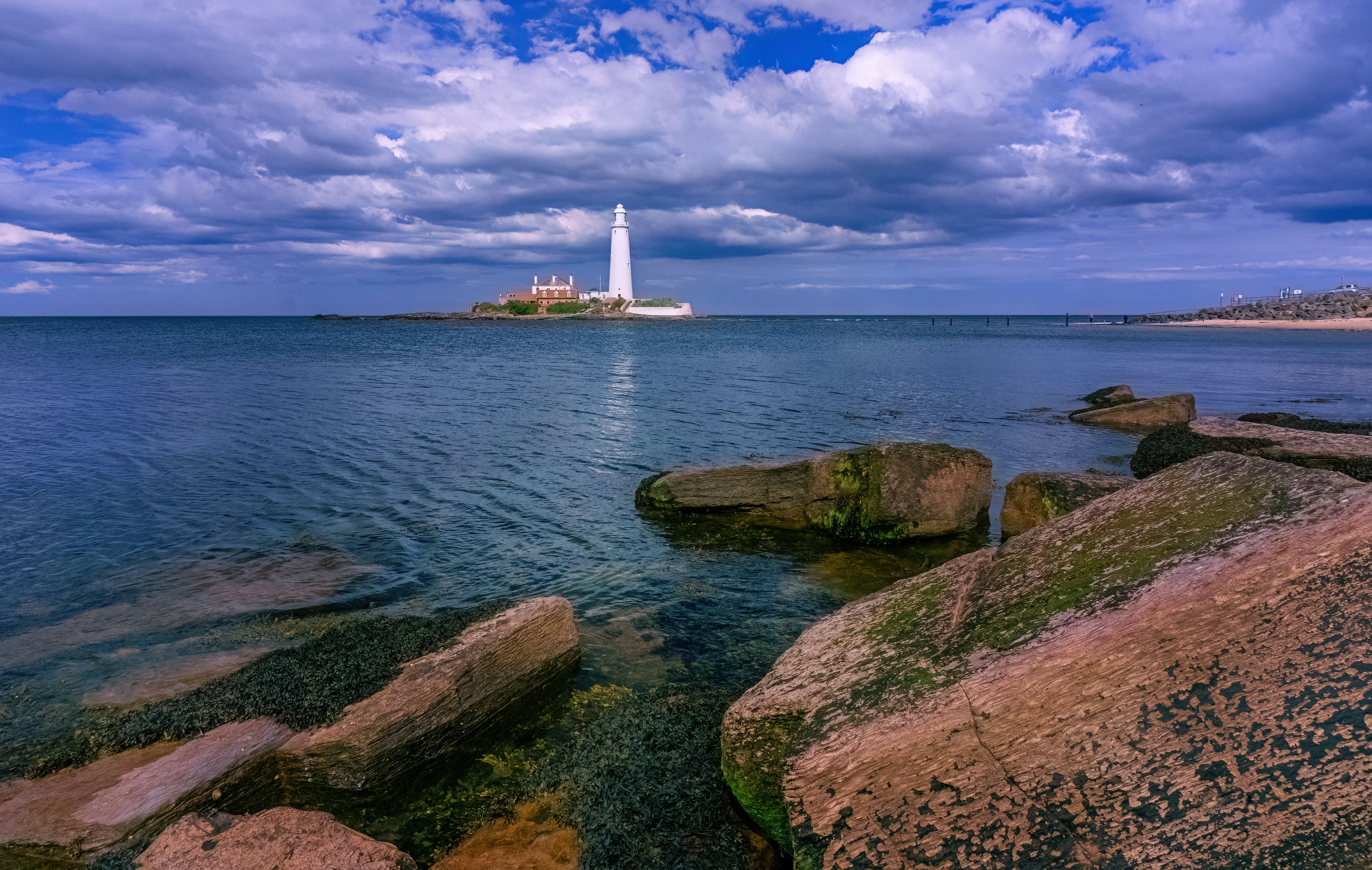 Rocky Sea Shore Near St Marys Lighthouse · Free Stock Photo