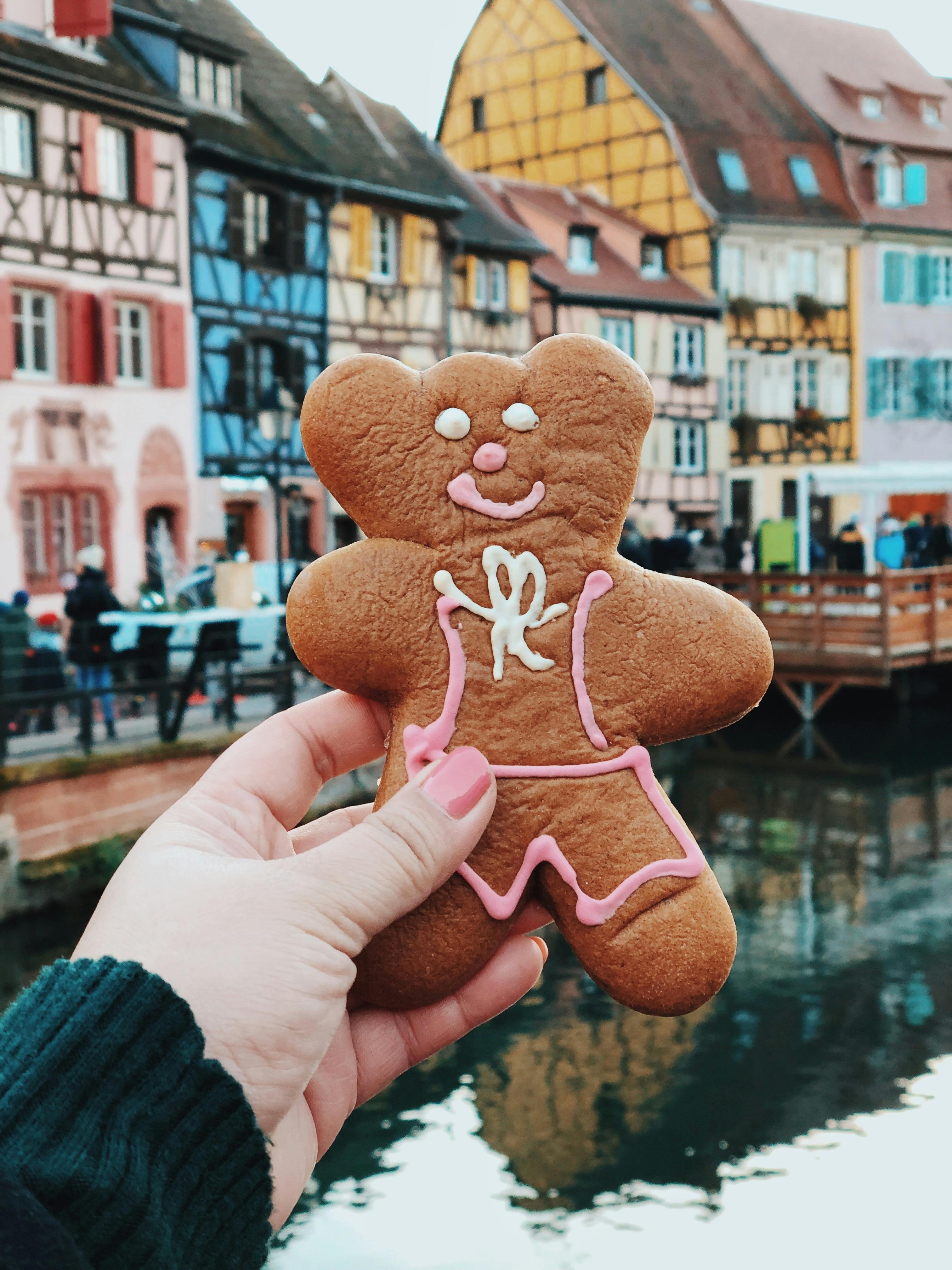 Gingerbread Bear Held By a Hand · Free Stock Photo
