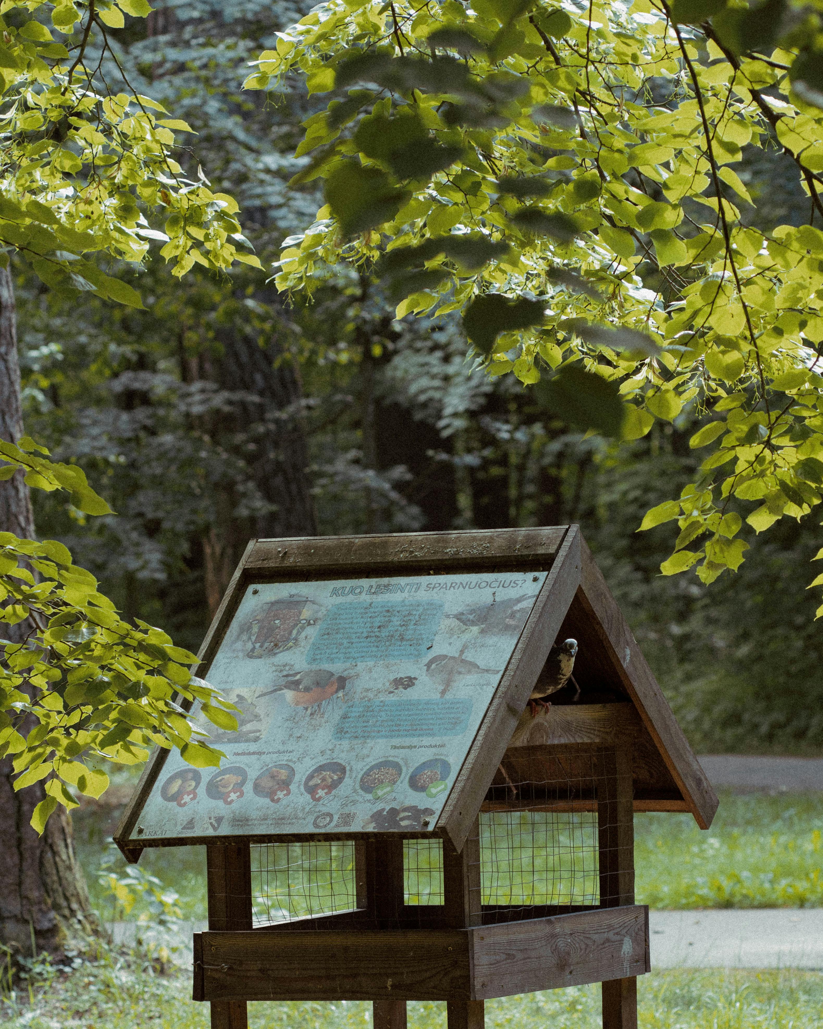 Information Ten Photos, Download The BEST Free Information Ten Stock ...