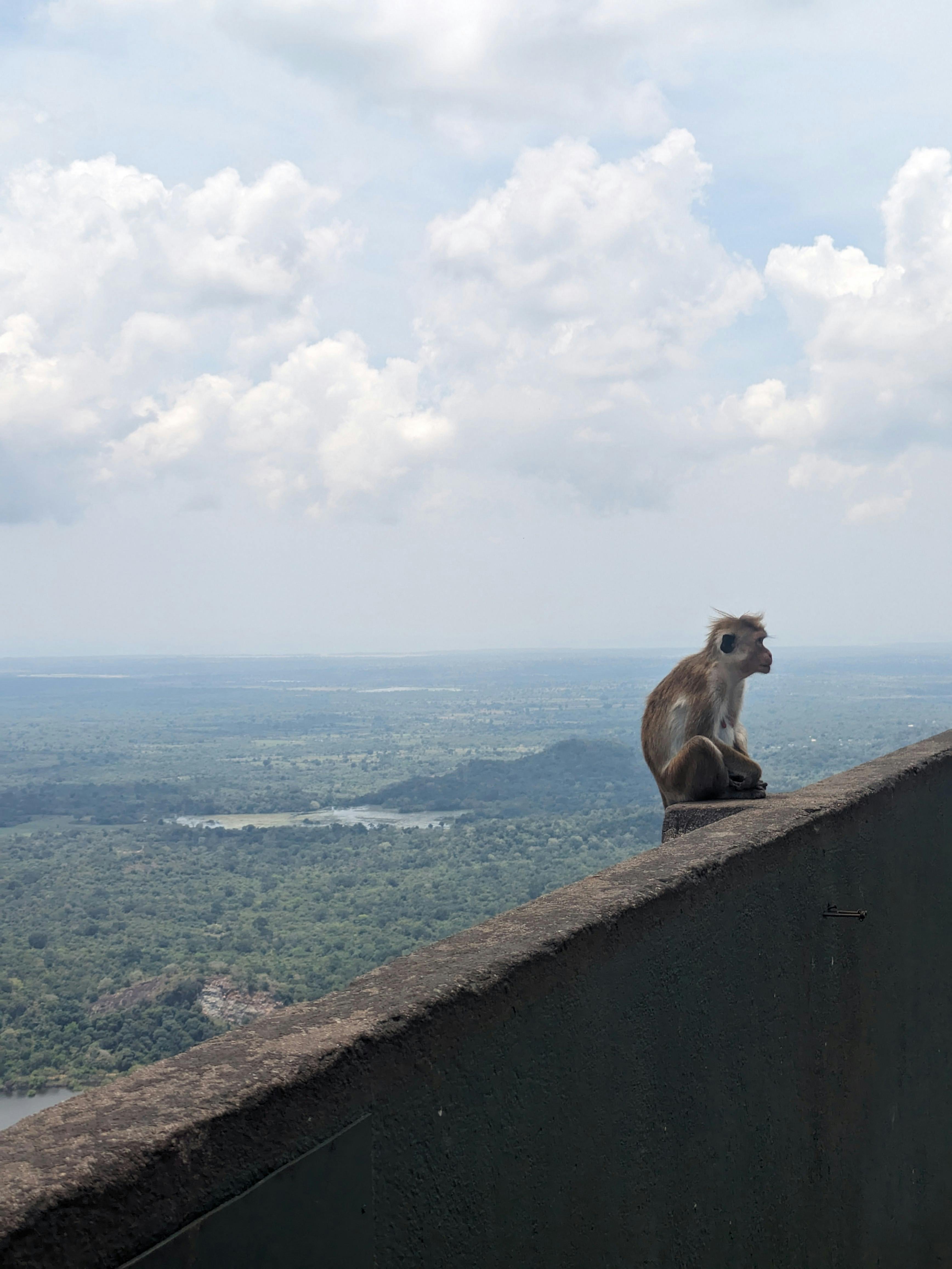 Thuvarakan Sivanesasuntharam - Photography