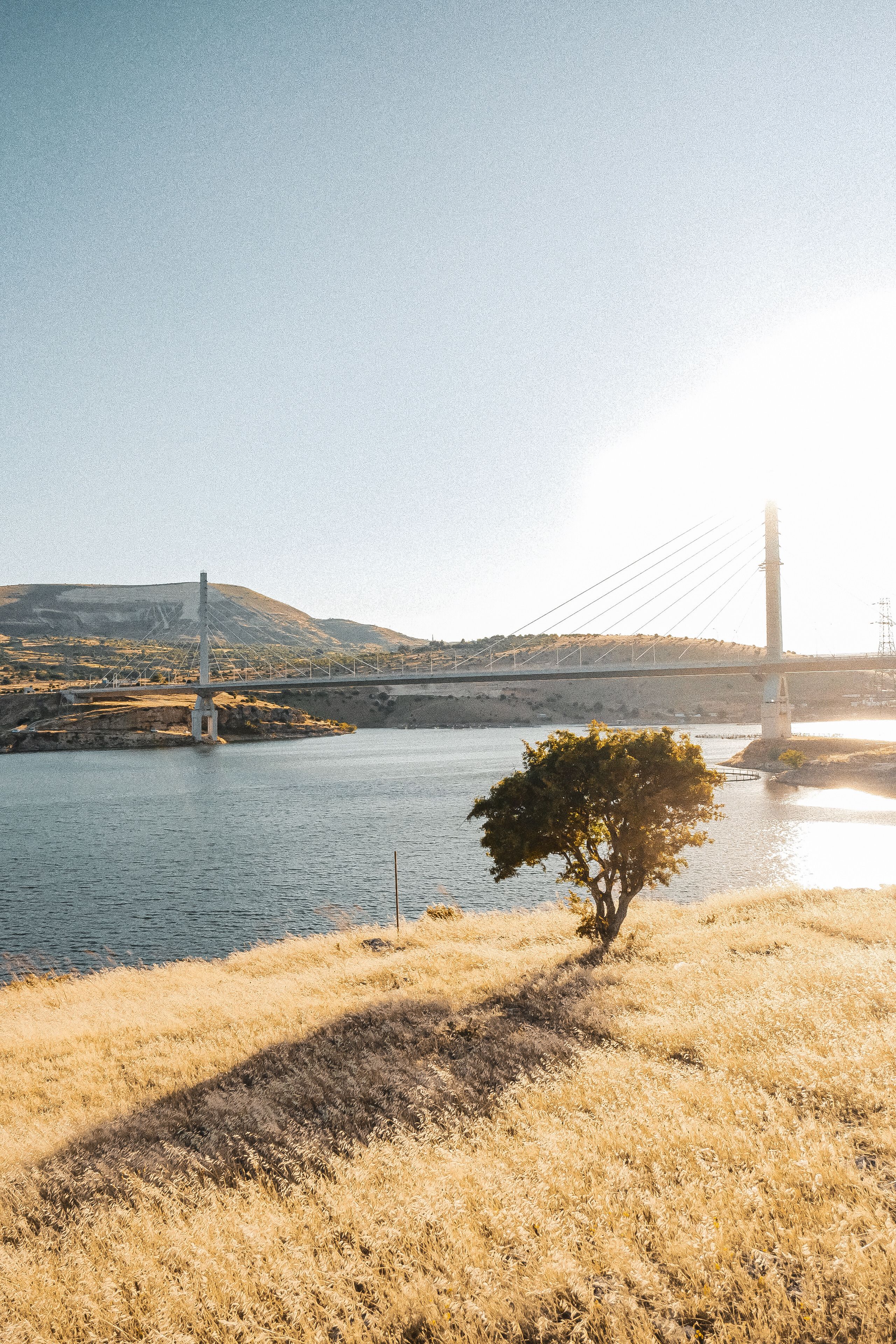 Meadow and River with Bridge at Sunset · Free Stock Photo