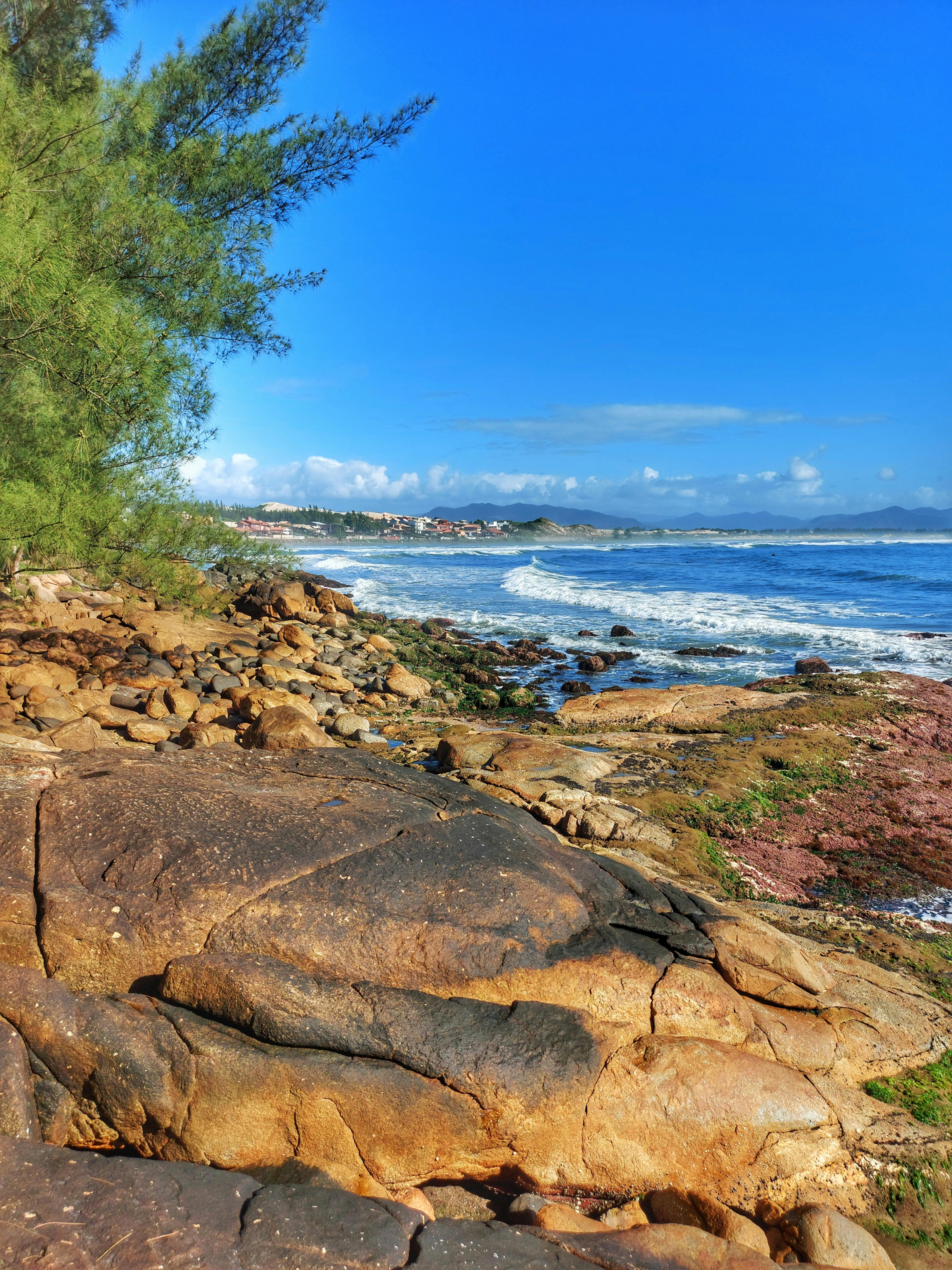 Litter Wallpaper Photos, Download The BEST Free Litter Wallpaper Stock ...