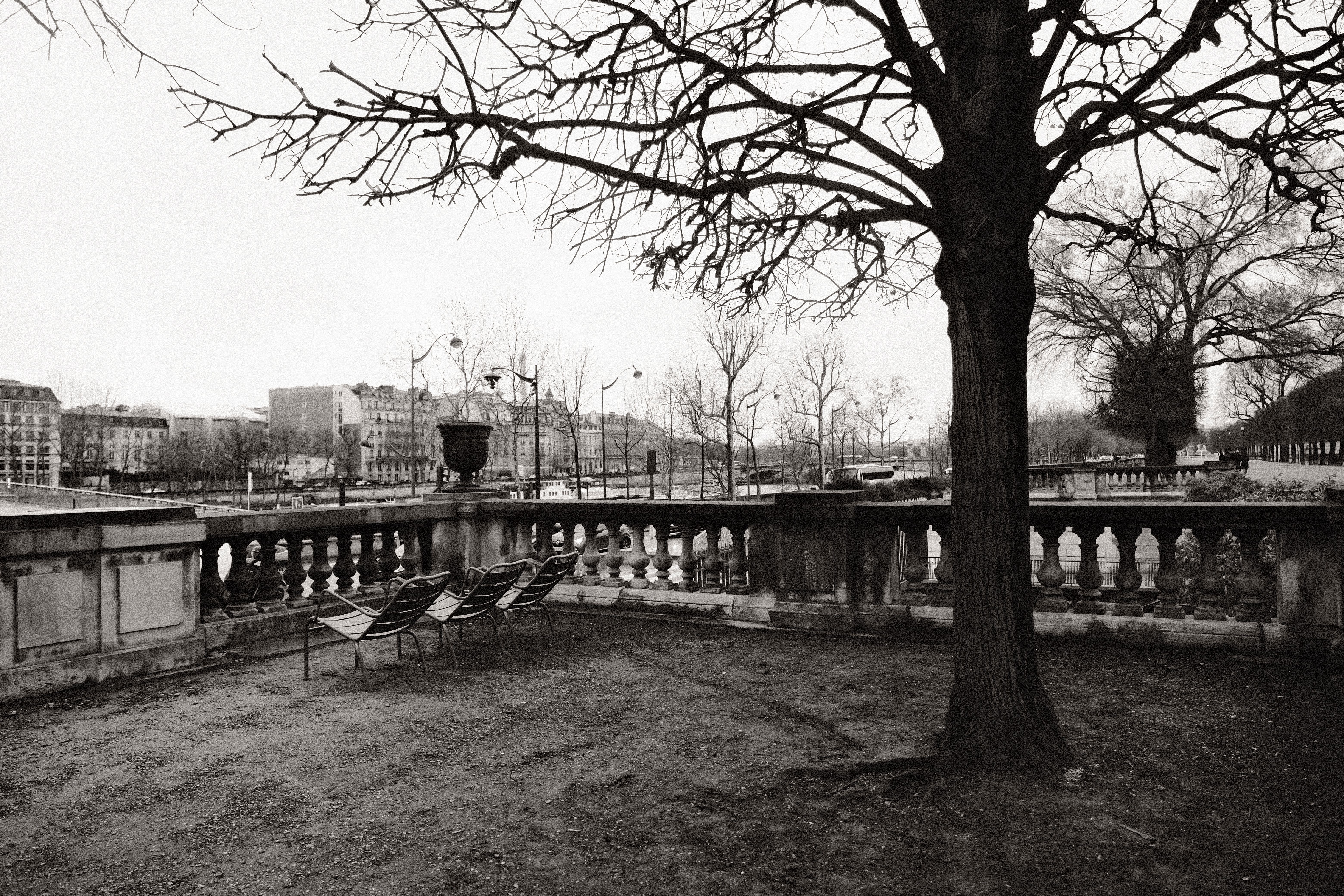 Bare Tree and Chairs in Park in Paris · Free Stock Photo