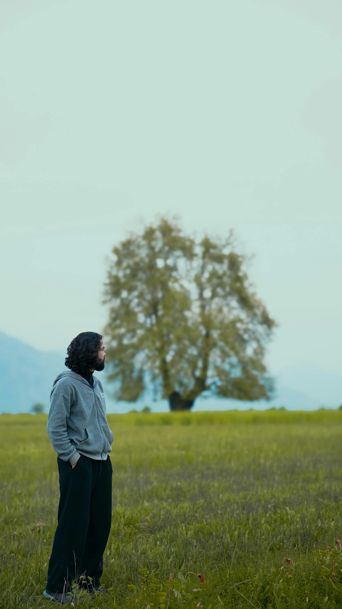 Man Standing In Field With Single Tree Photos, Download The BEST Free ...