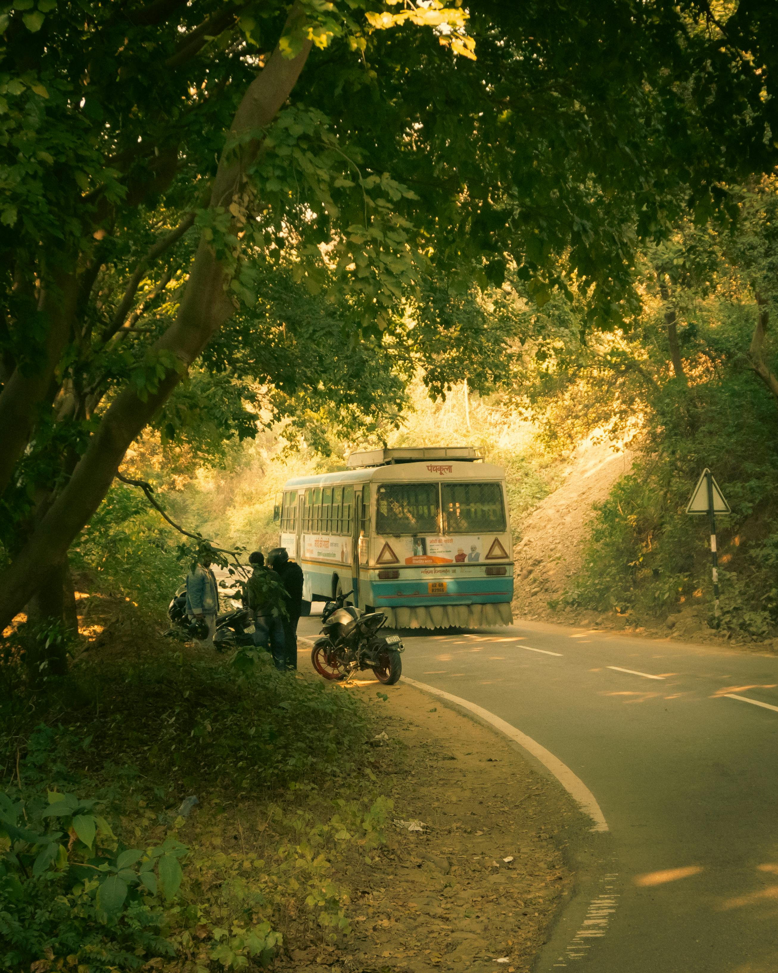 A Bus Driving on the Street between Trees · Free Stock Photo