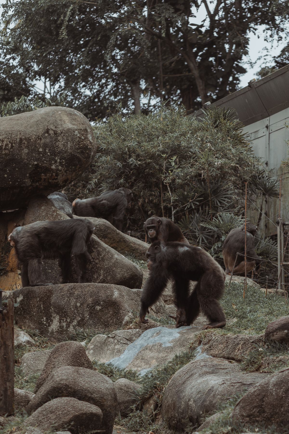 Zoo Animals Images Photos, Download The BEST Free Zoo Animals Images ...