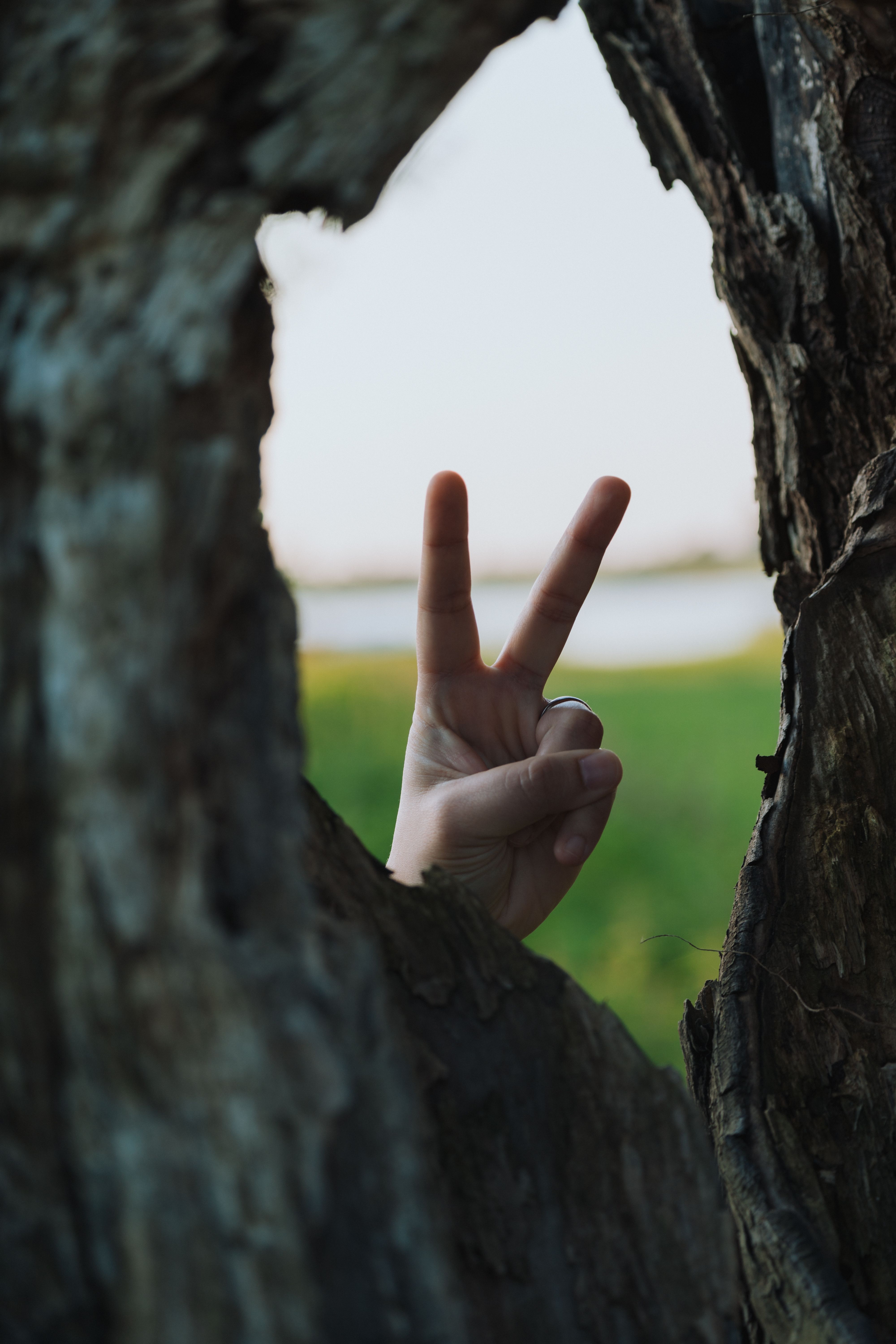 A Person Showing a Peace Sign · Free Stock Photo