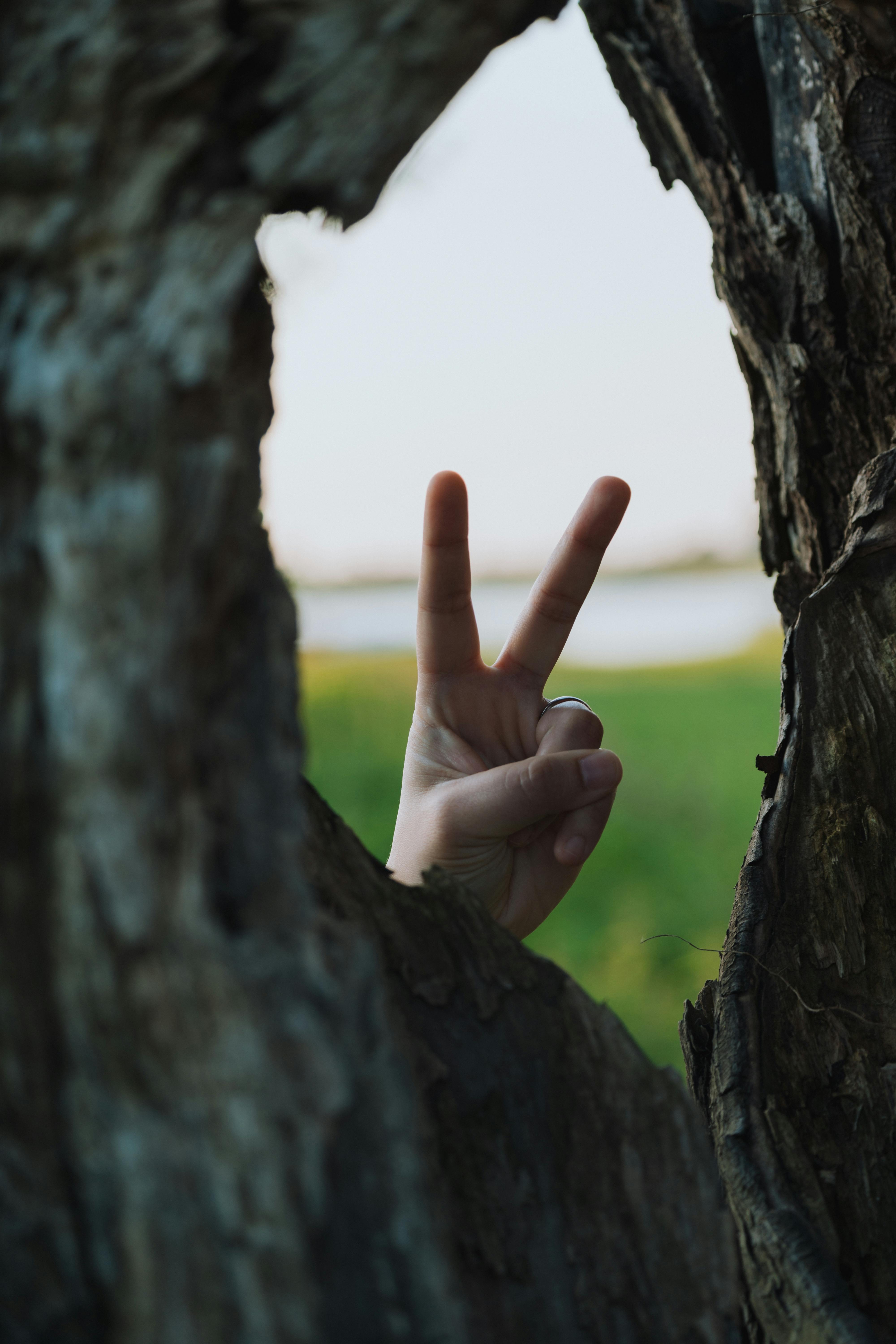 A Person Showing a Peace Sign · Free Stock Photo