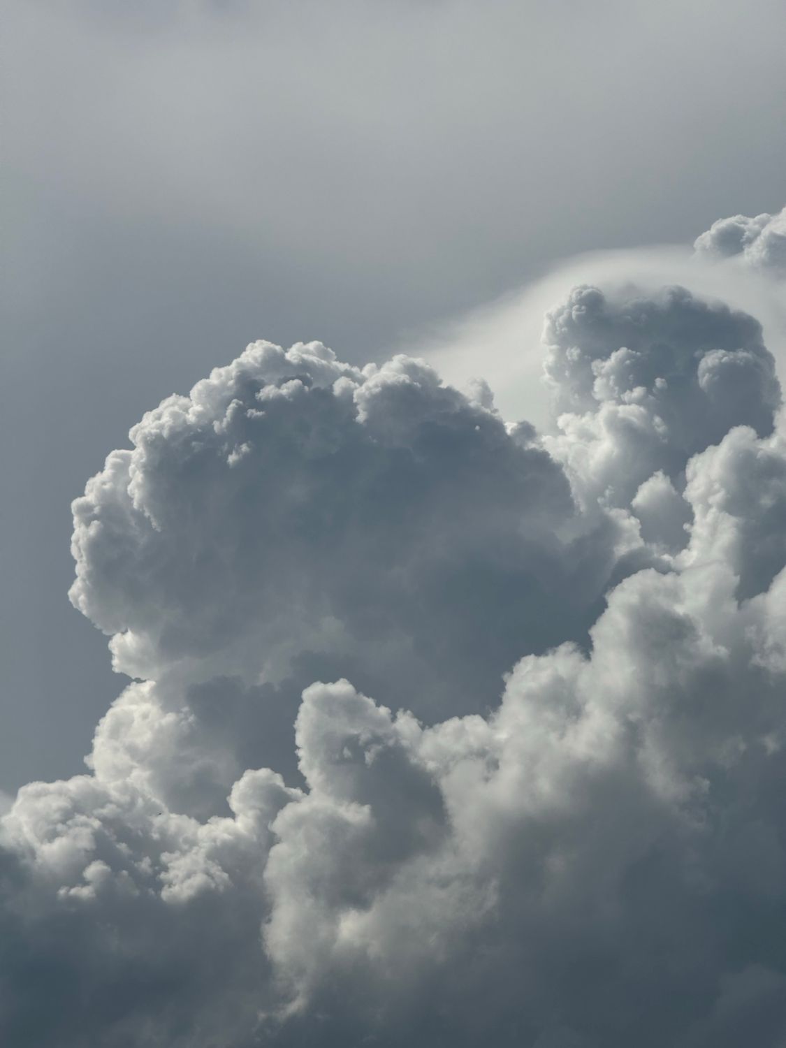White, Dense Clouds in Sky · Free Stock Photo