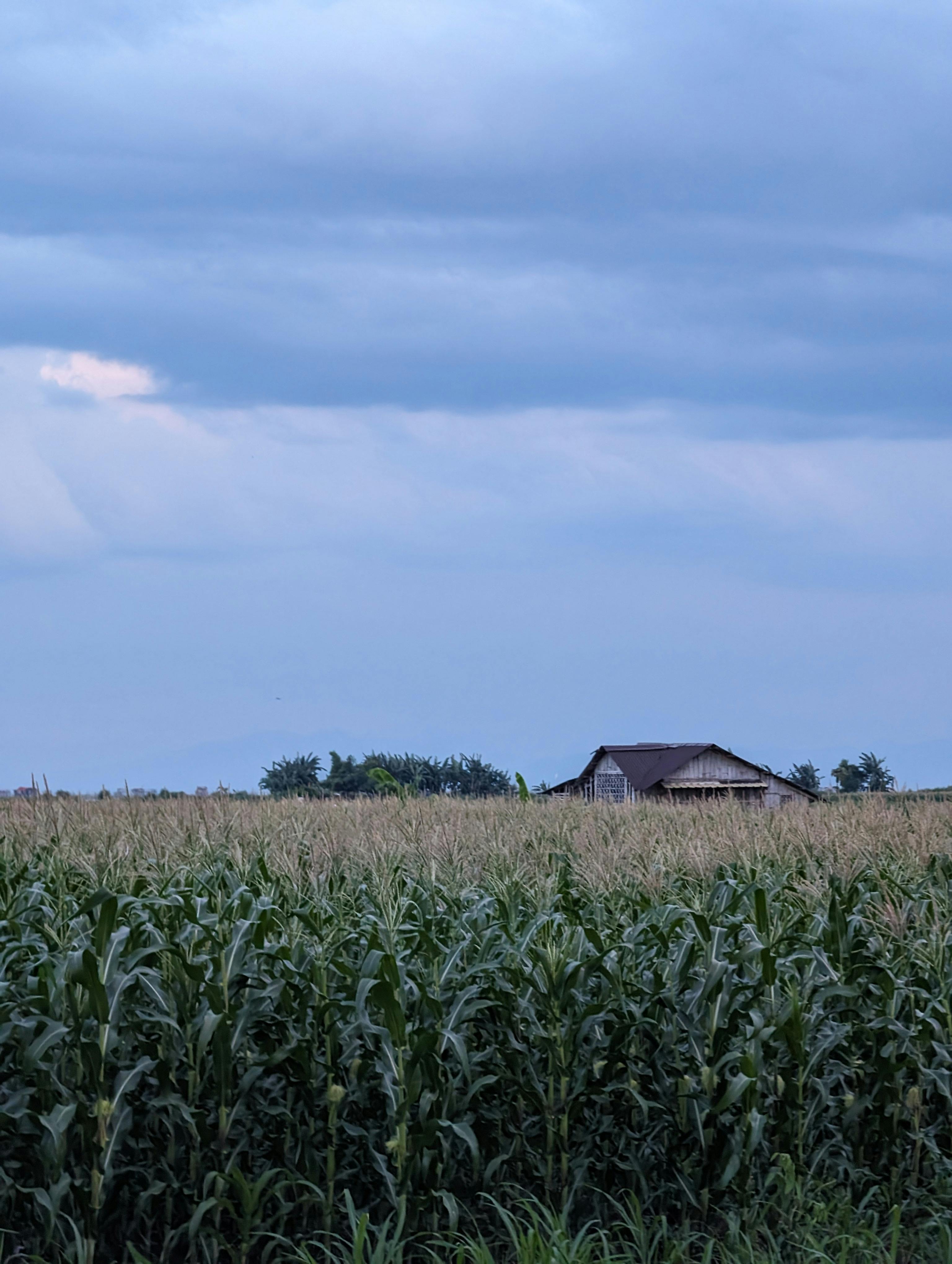 A Hut on a Field · Free Stock Photo