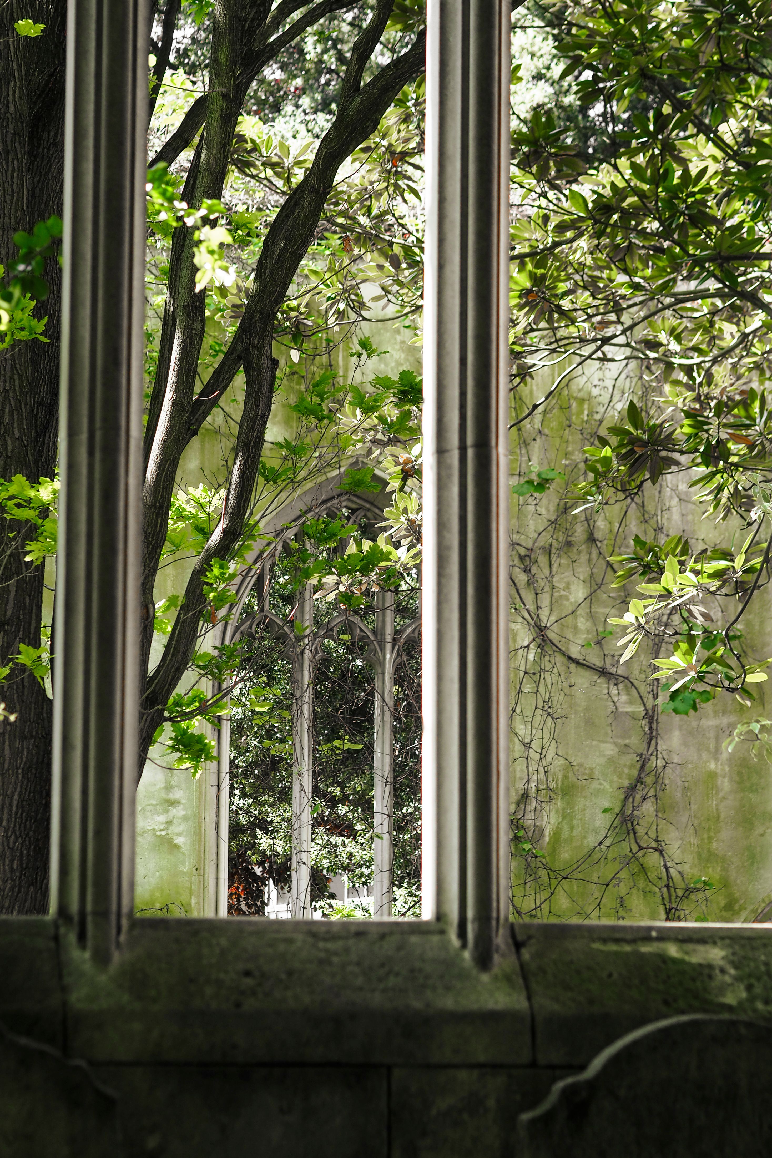 A window with a view of trees and a building · Free Stock Photo
