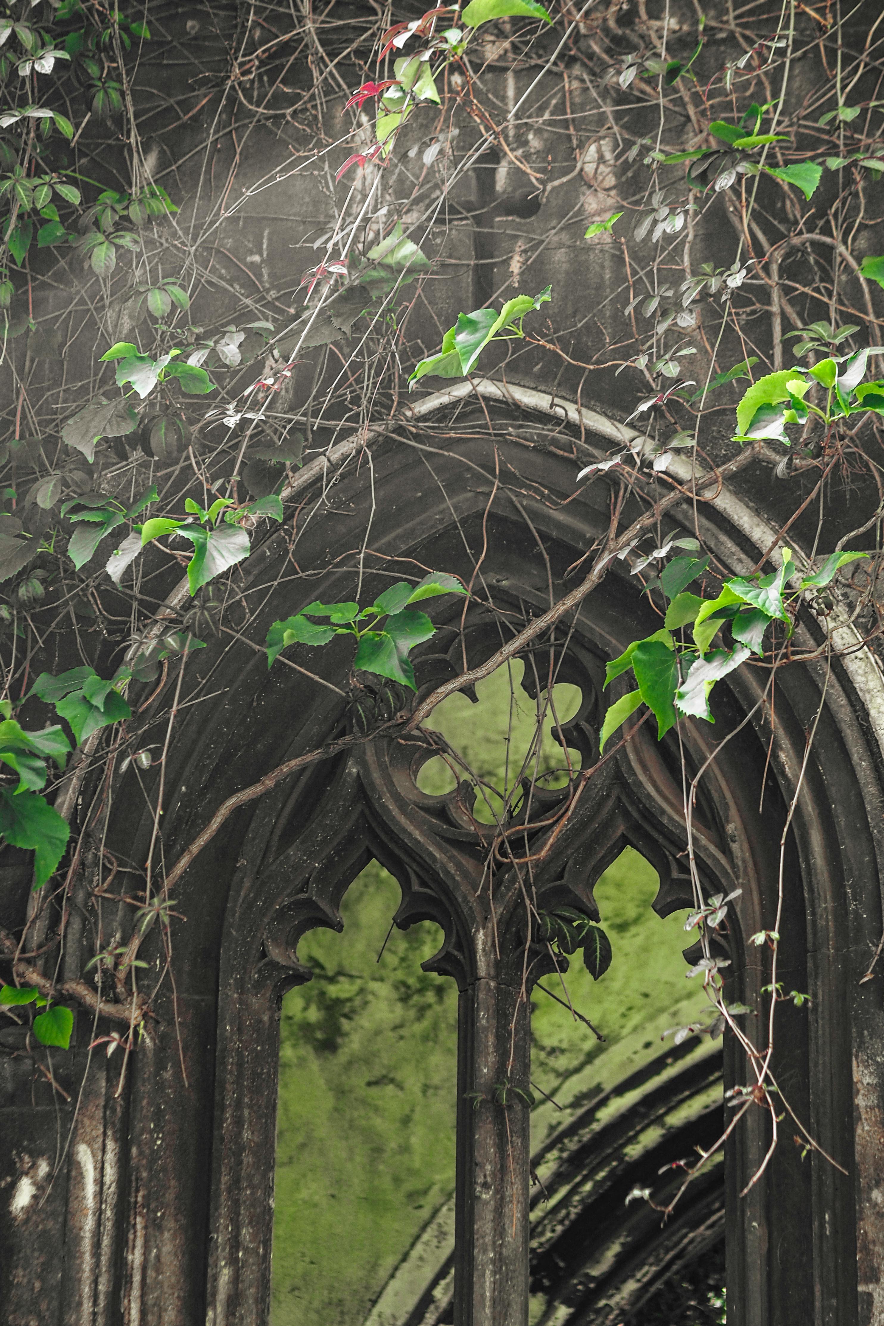 Laura Chouette - Photography