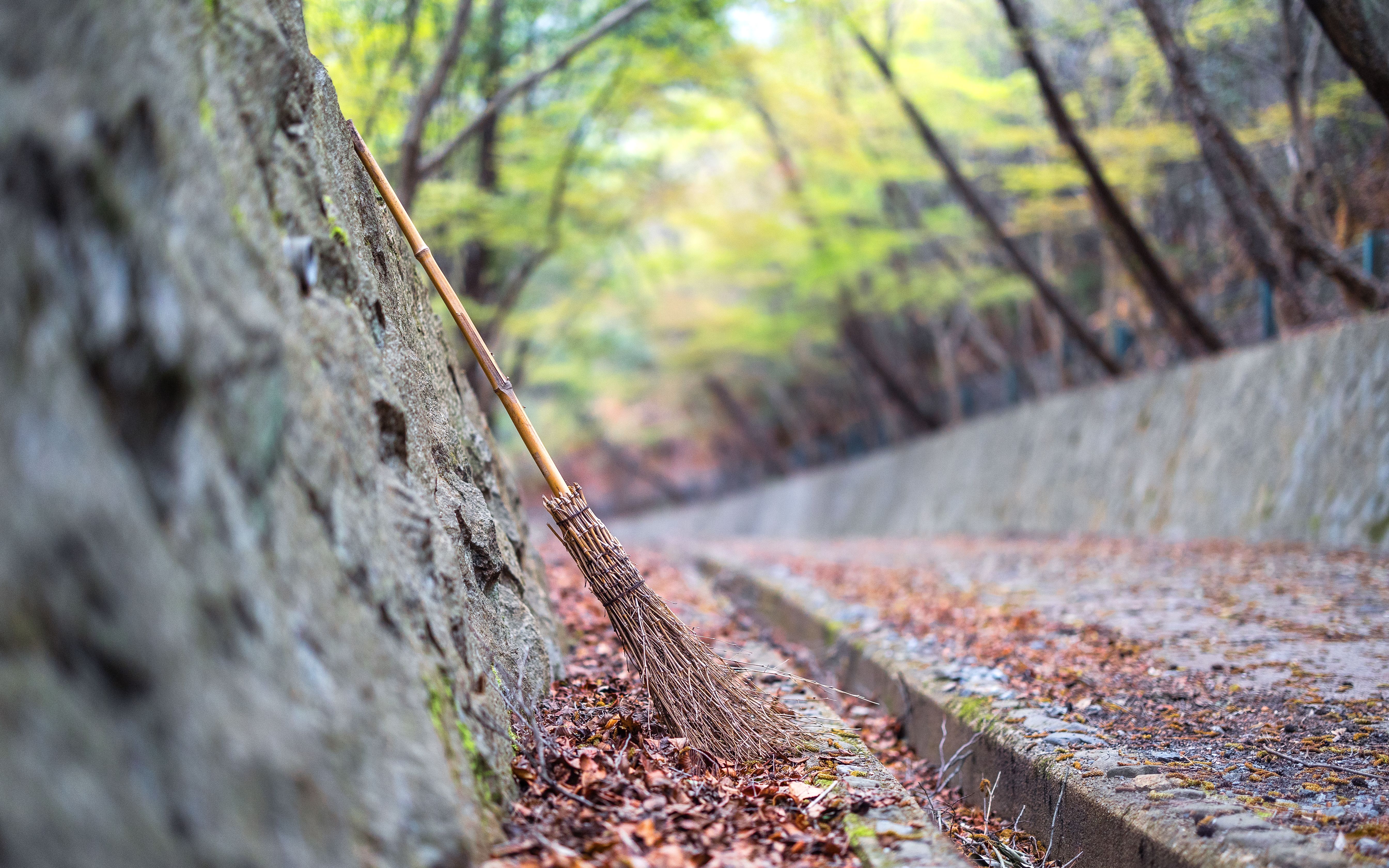 Broom near Footpath in Park in Autumn · Free Stock Photo