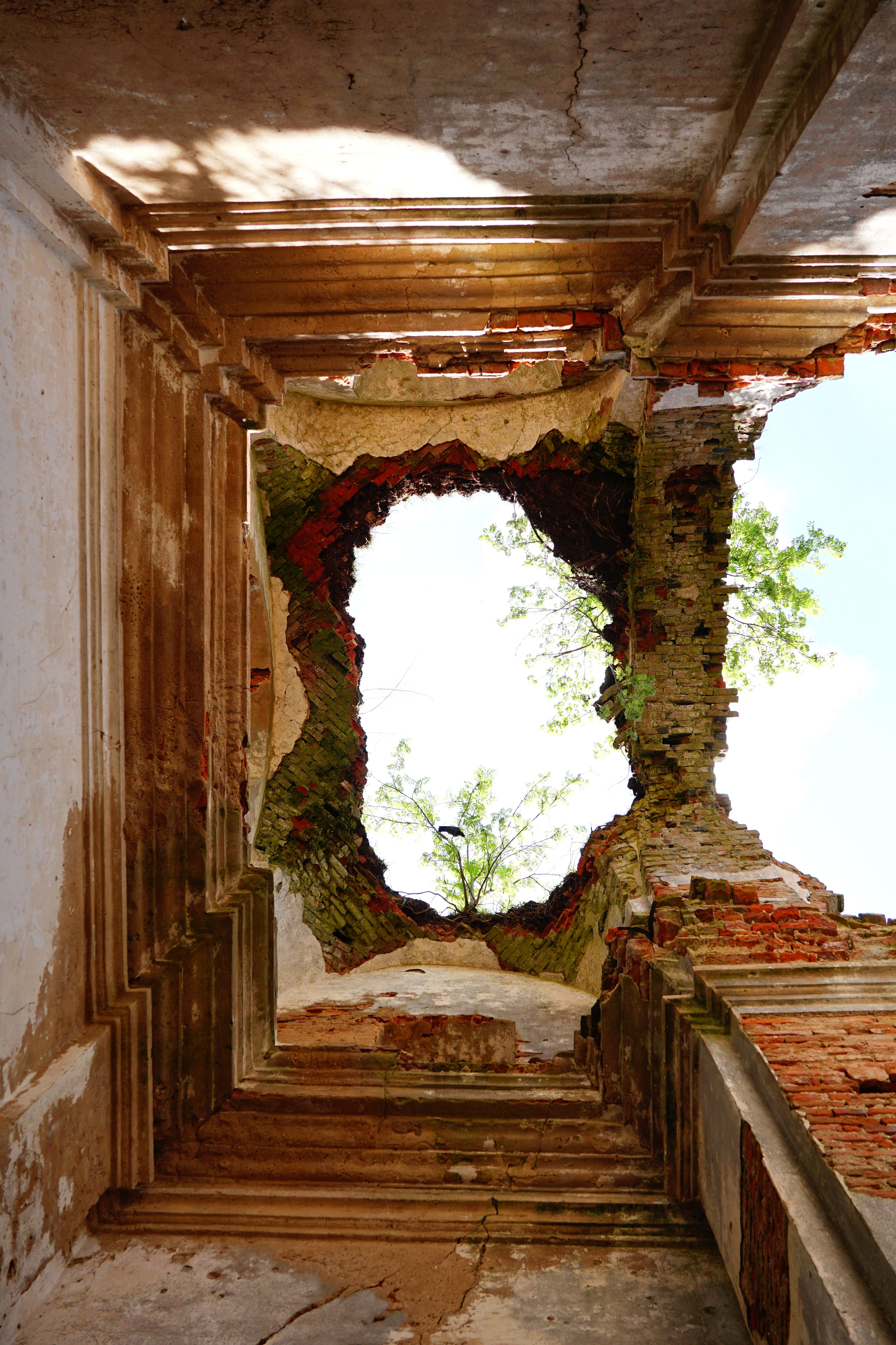 Walls in Building Ruins · Free Stock Photo