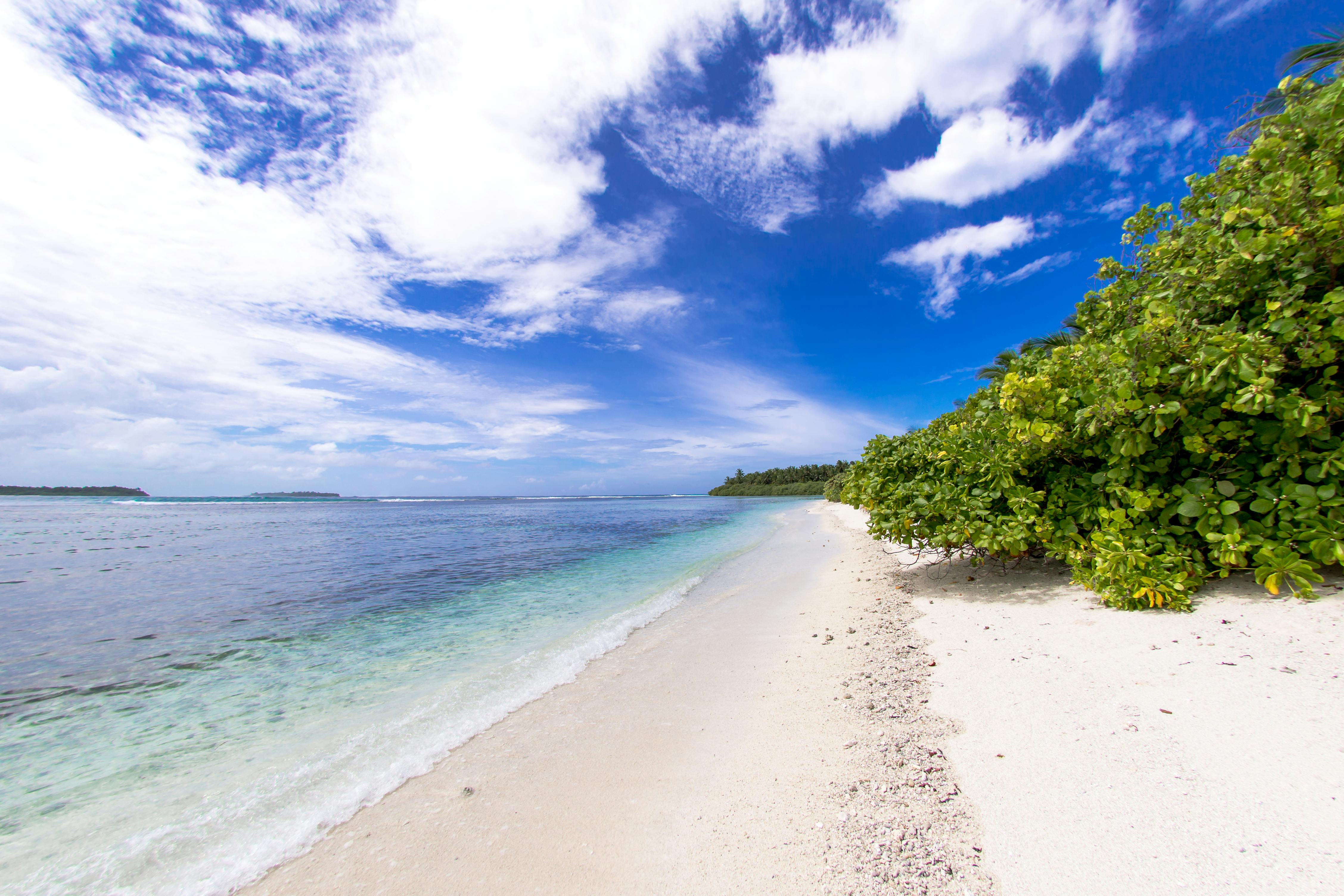 Ocean View · Free Stock Photo