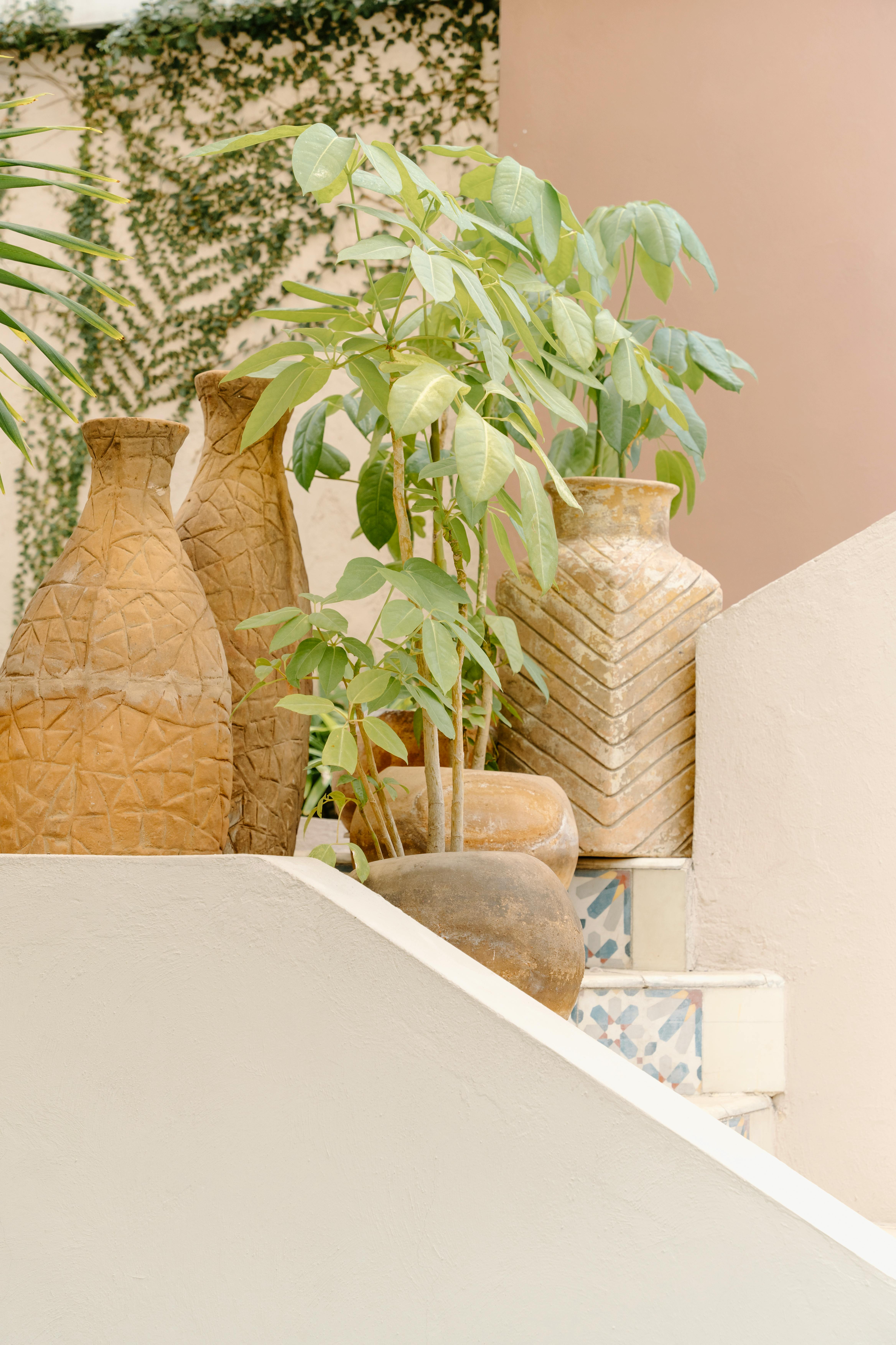 Foto stok gratis tentang @ luar, alami, anggun, bagian dalam, bejana ...