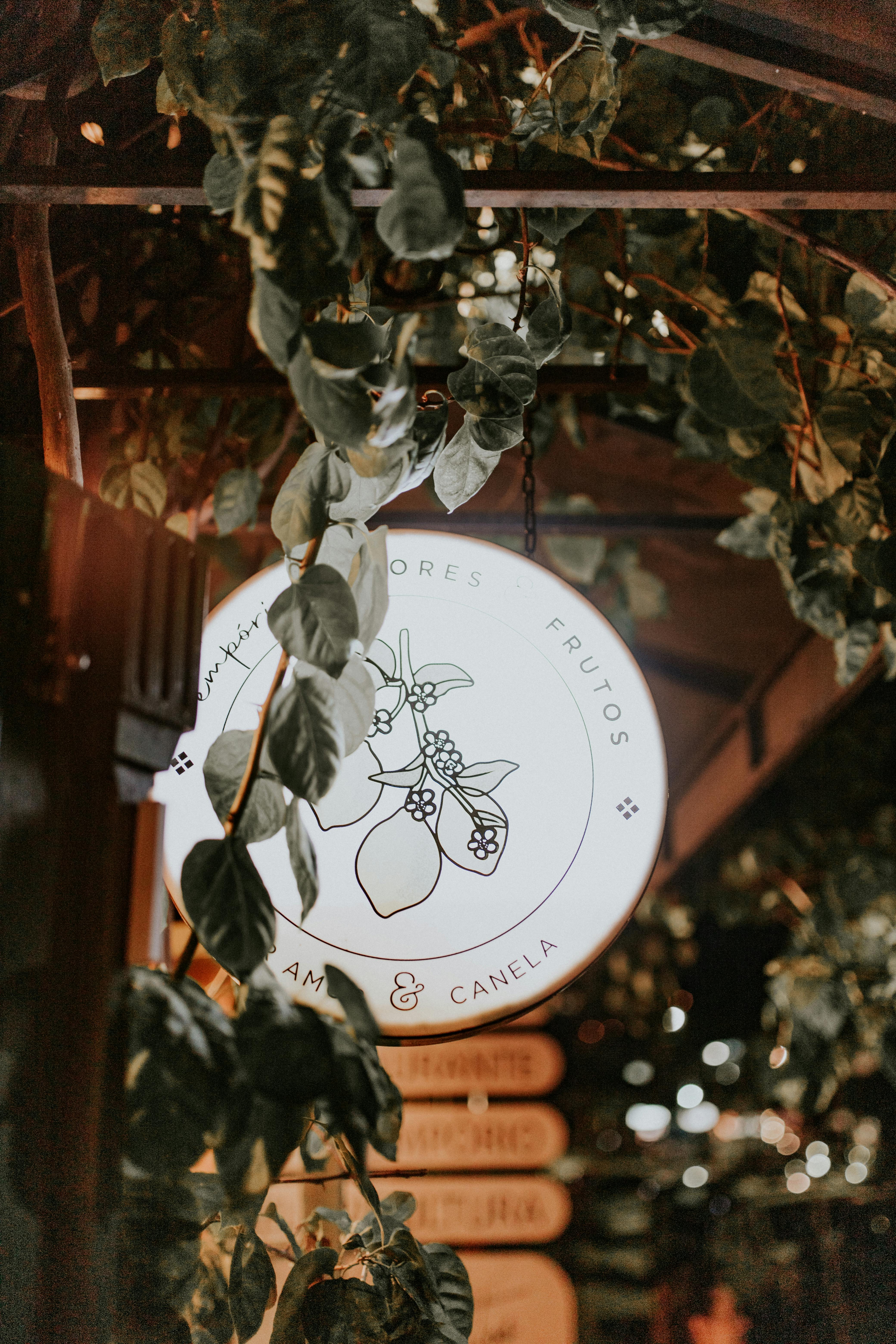 Illuminated Sign Covered with Vine · Free Stock Photo