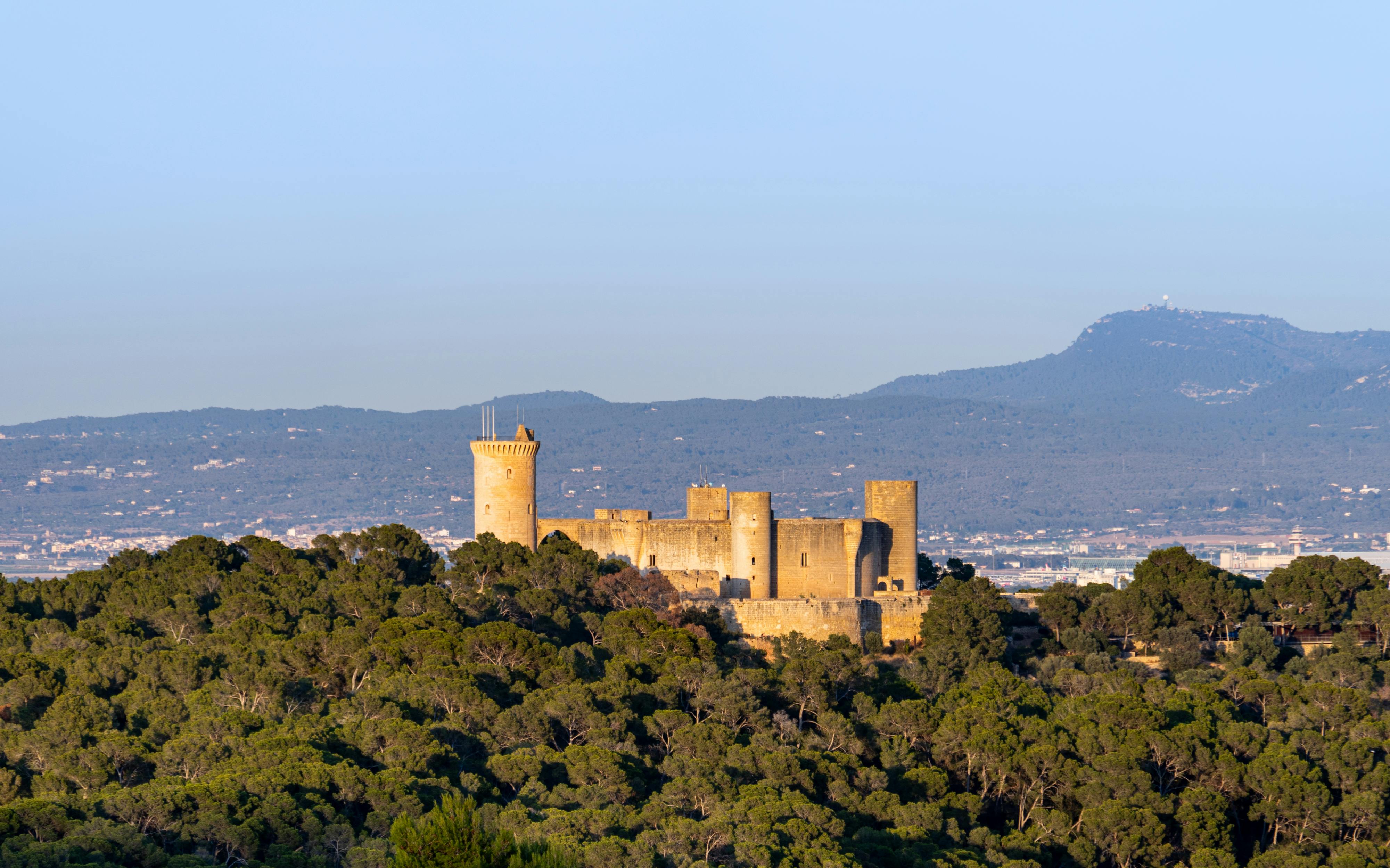 David Vives - 摄影