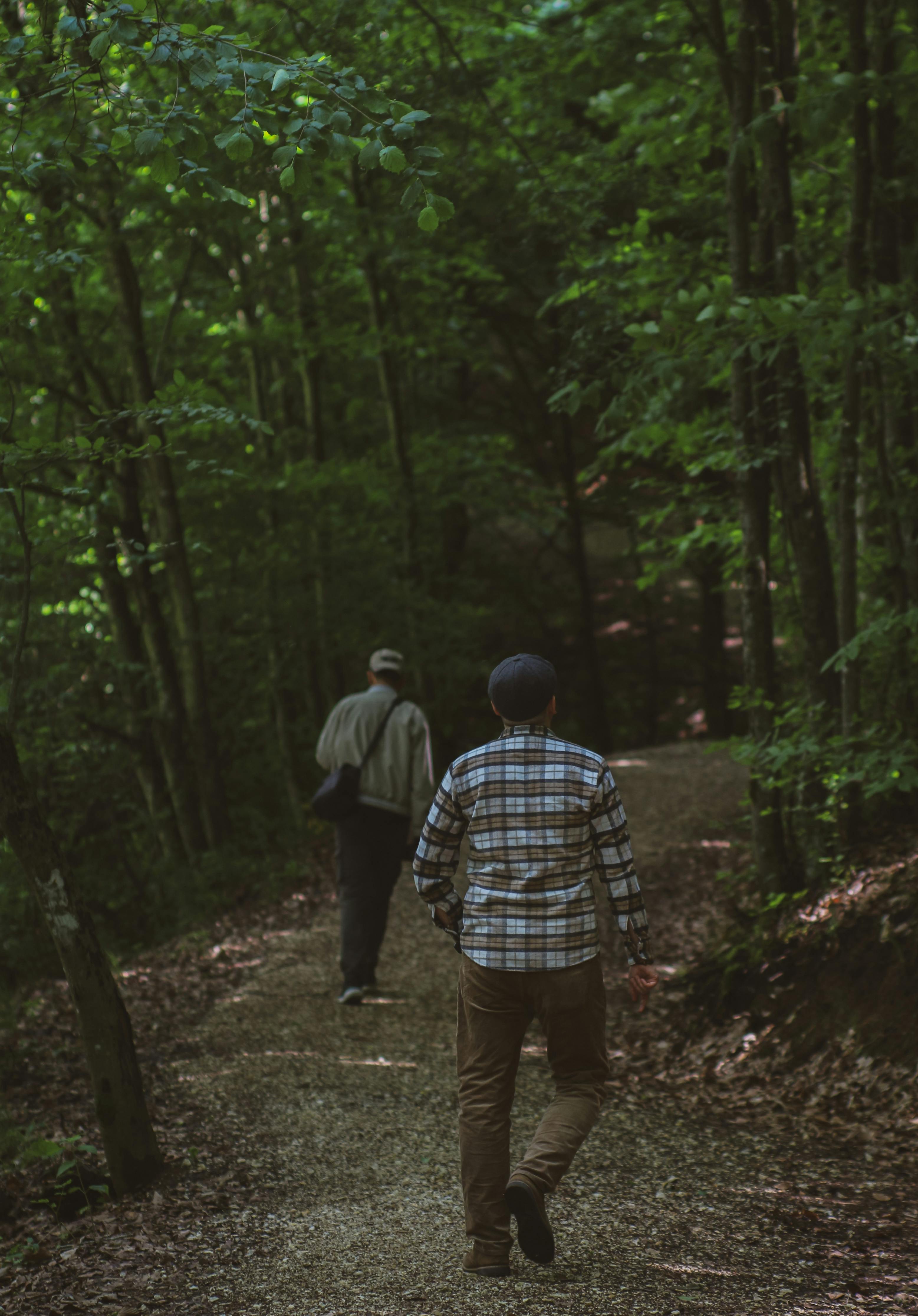 Two People in a Forest · Free Stock Photo