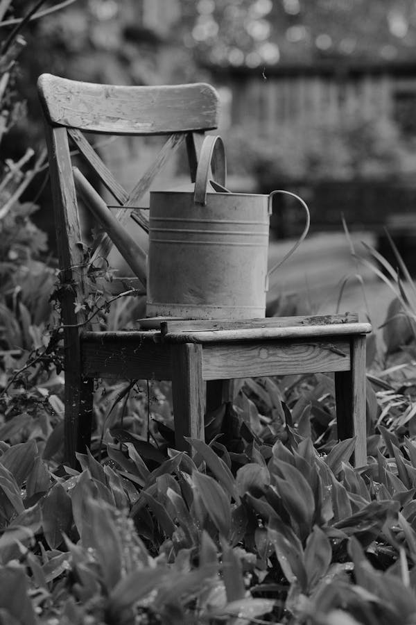 Bucket List Photos, Download The BEST Free Bucket List Stock Photos ...