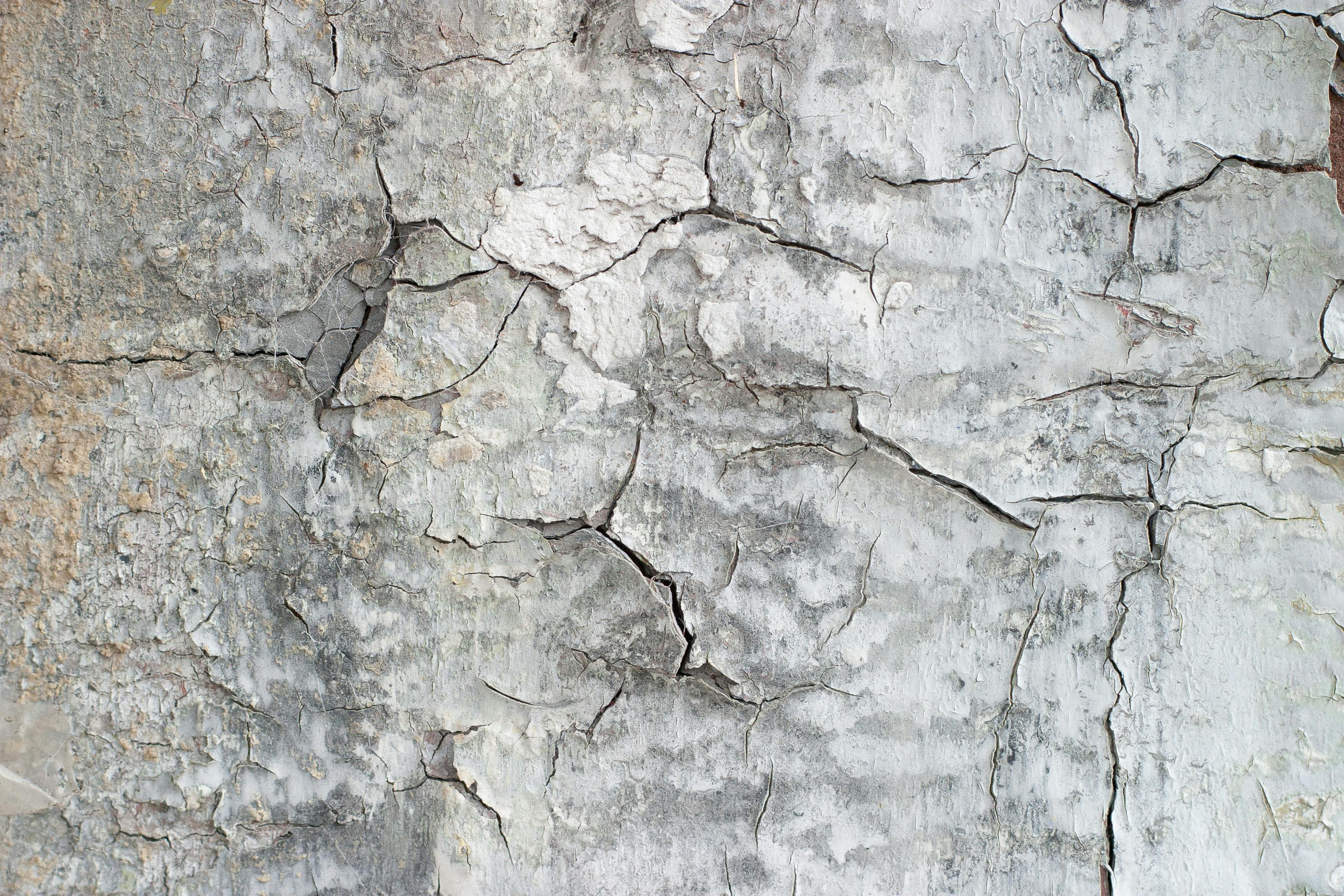 Full Length Portrait of Man Standing in Corridor · Free Stock Photo