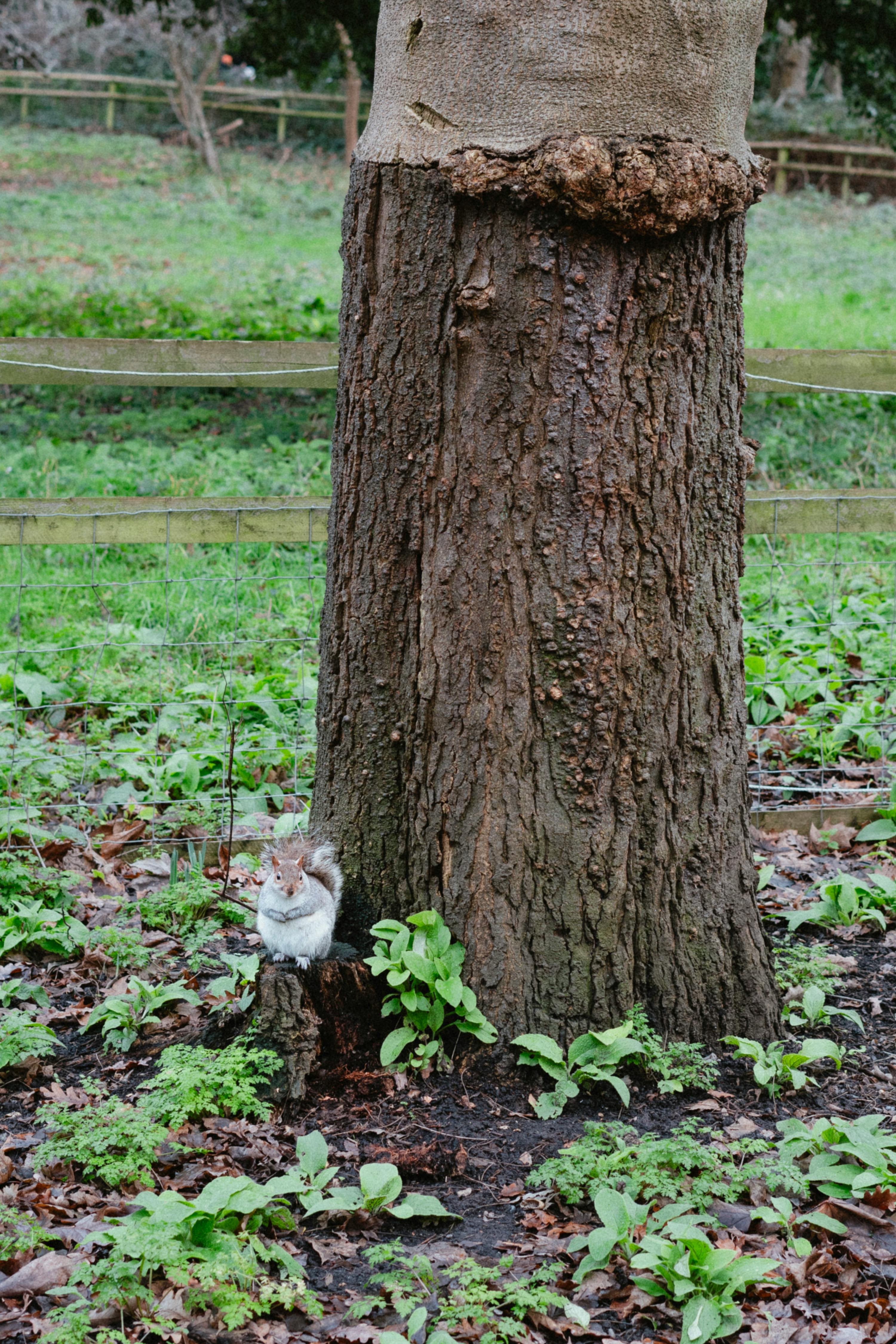 Miles Bennett - Photography