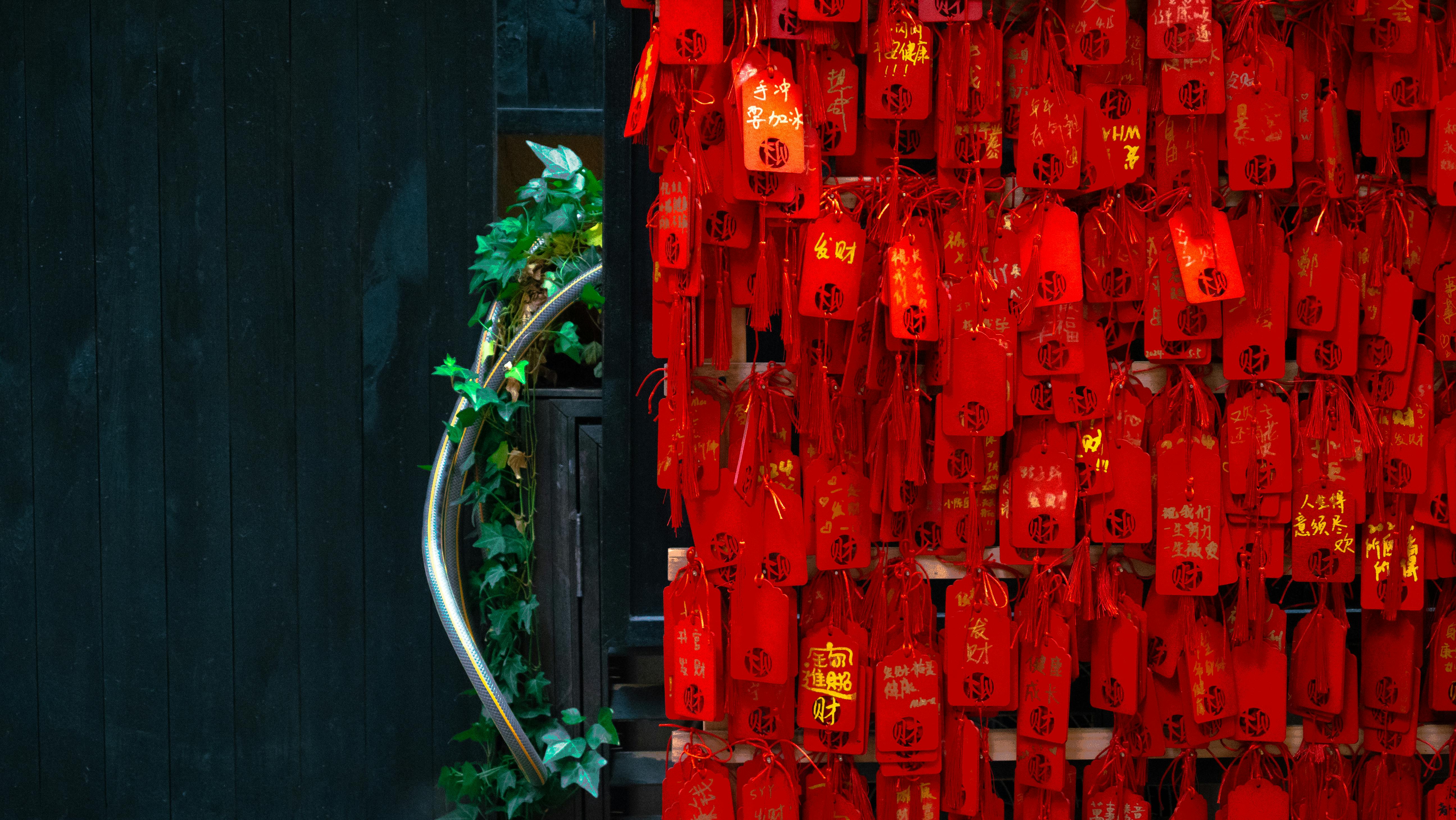 YIMING TANG - Photography