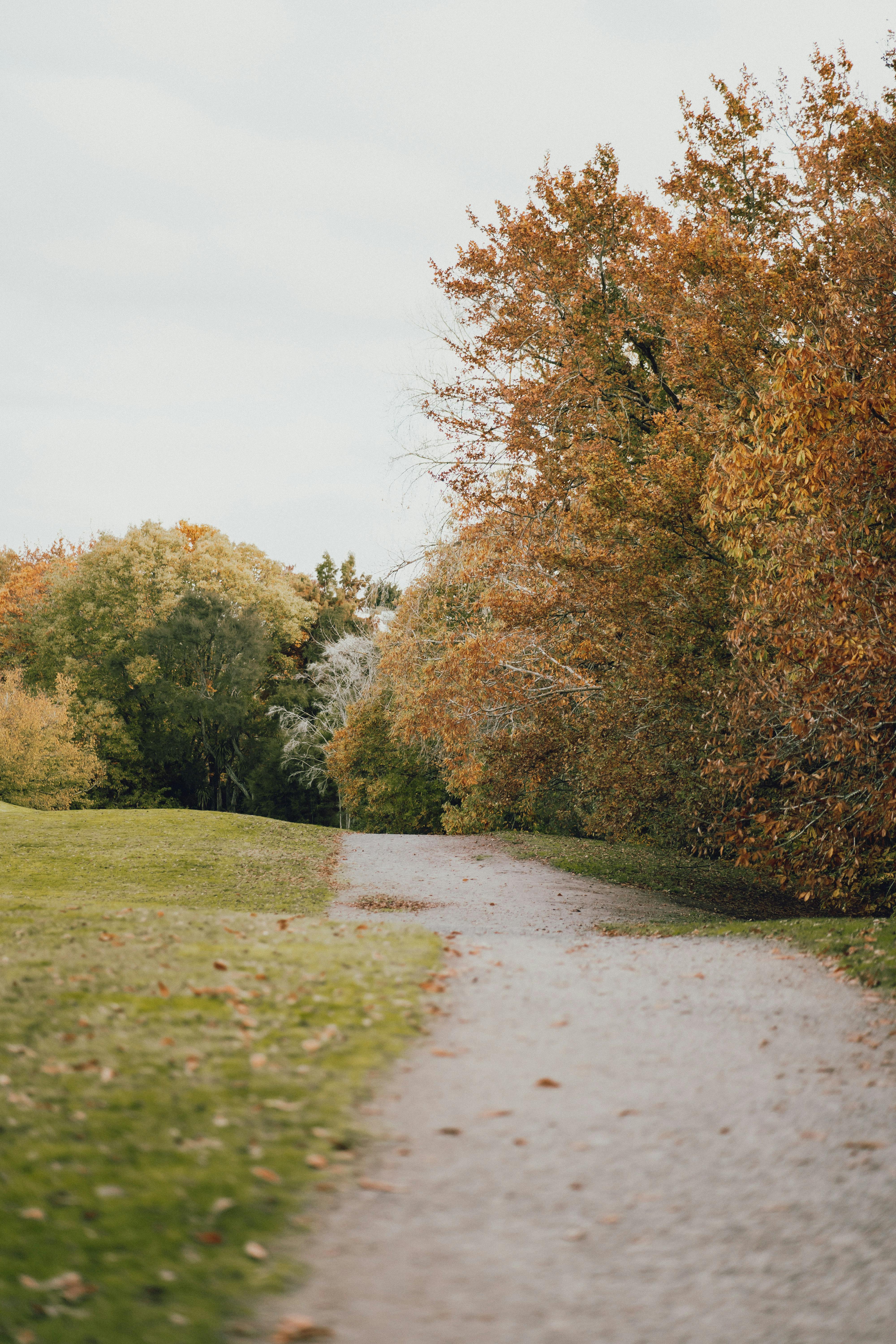 Hamilton Path Photos, Download The BEST Free Hamilton Path Stock Photos ...