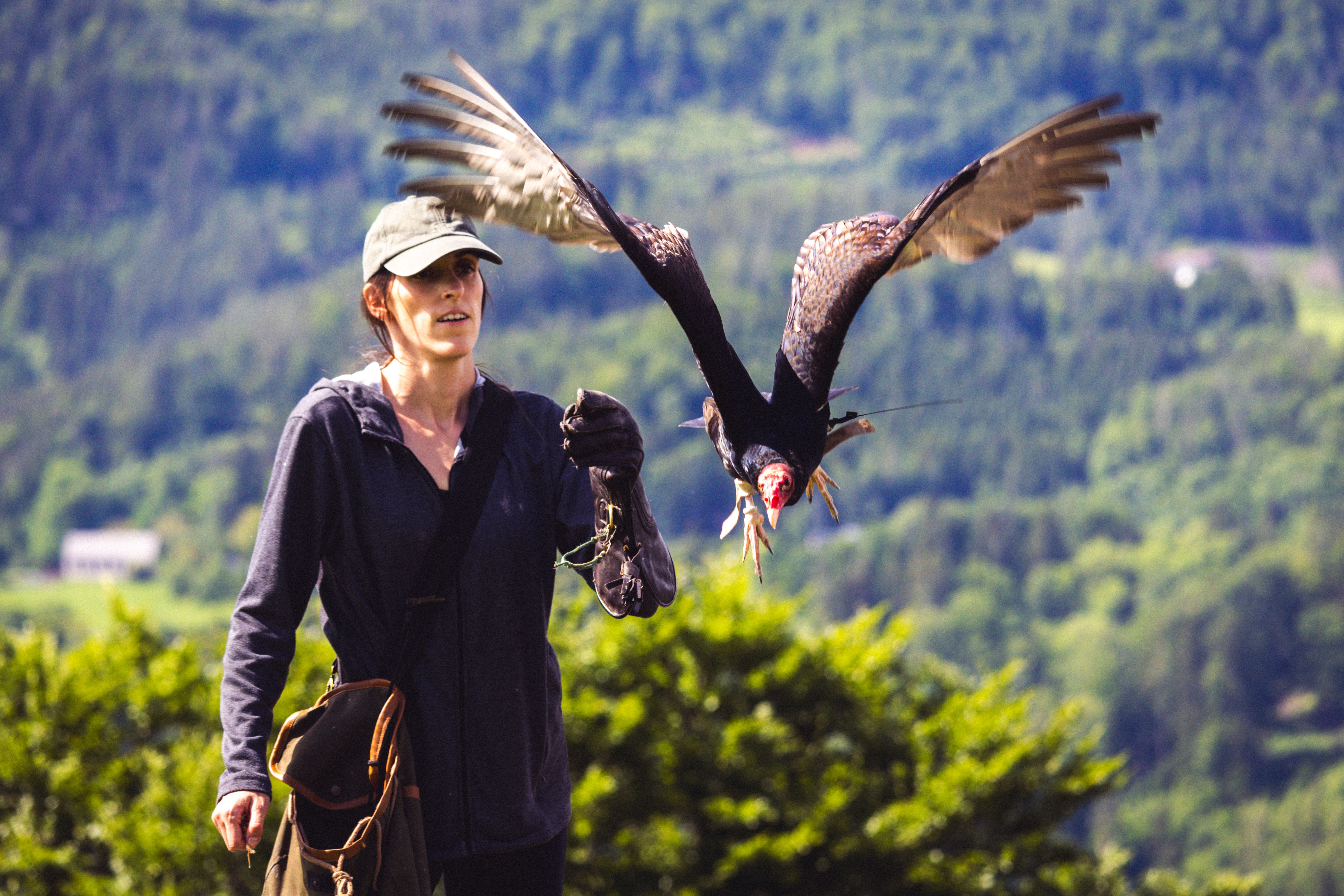 A woman is holding a bird in her hand · Free Stock Photo