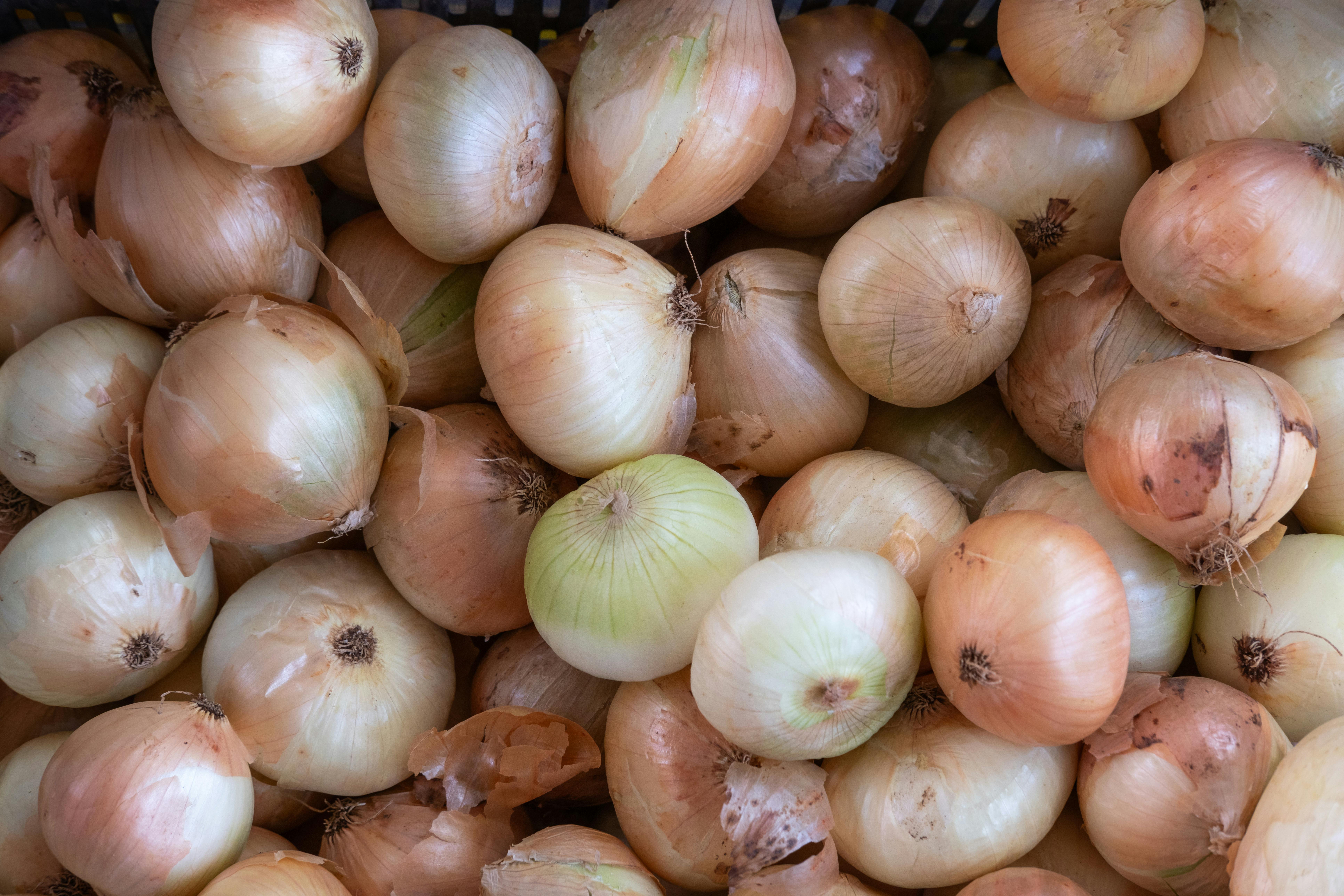 Close-up of a Pile of Onions · Free Stock Photo