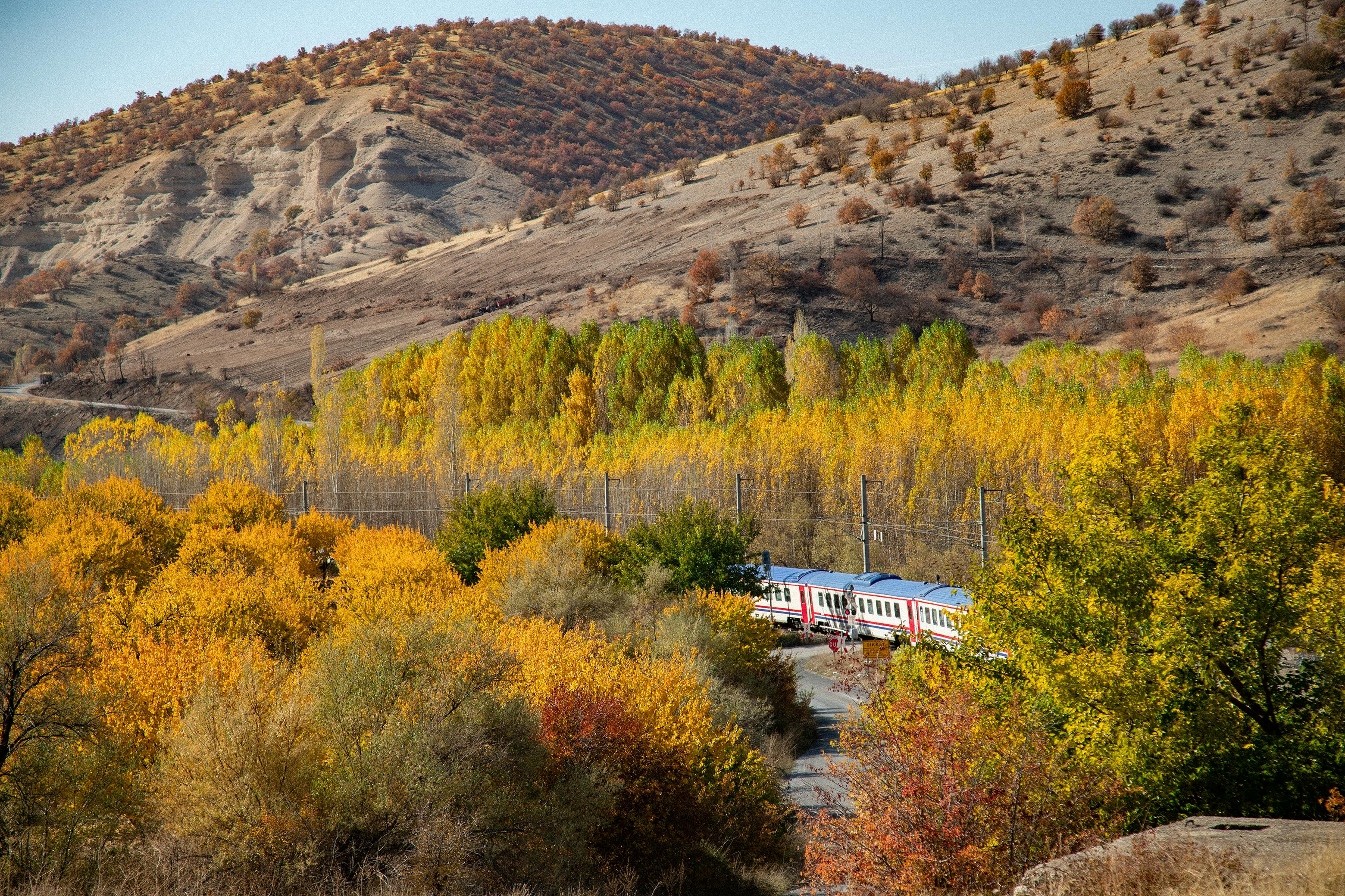 Train in Countryside in Autumn · Free Stock Photo