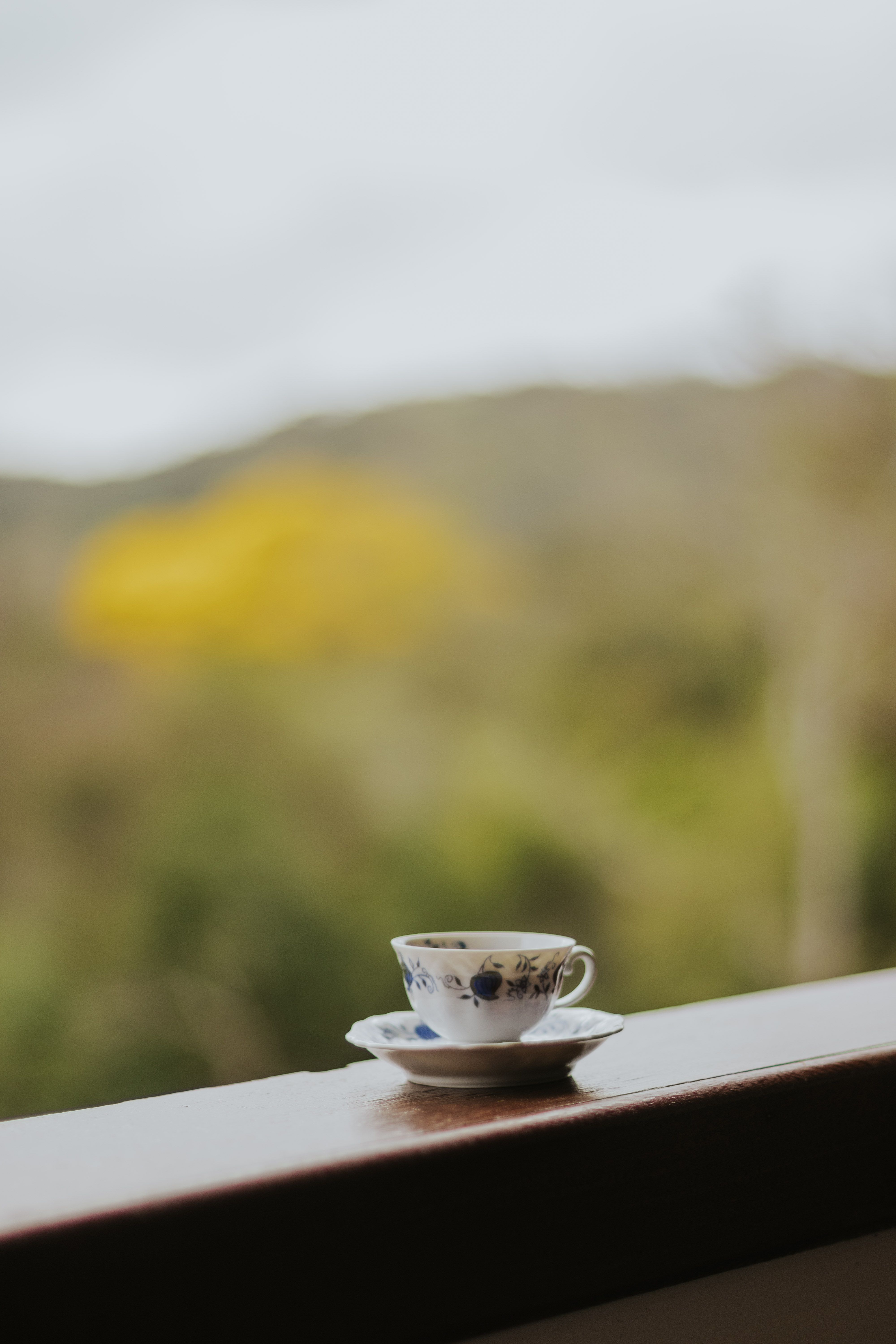 Tea Cup on Window · Free Stock Photo