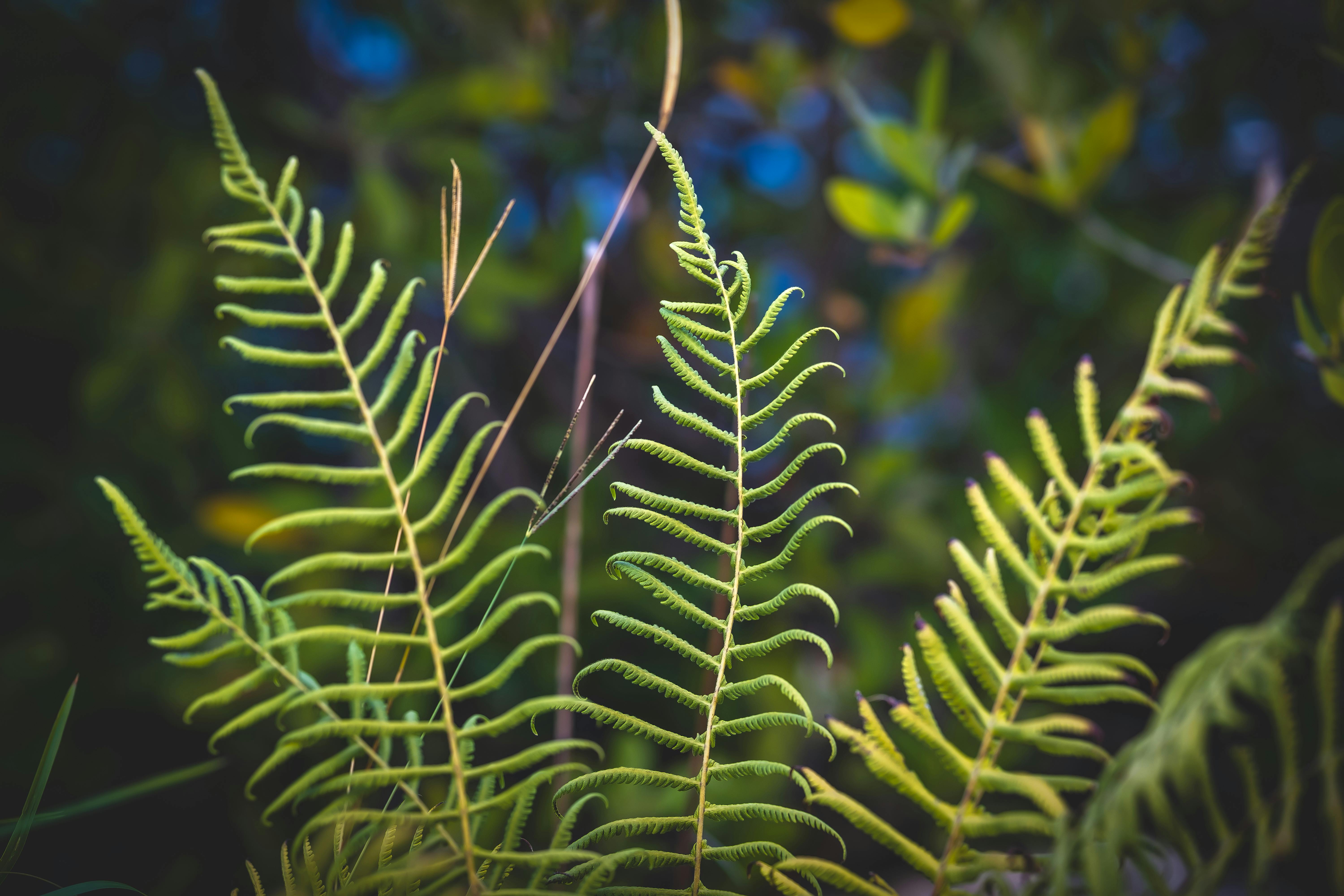 Arian Fernandez - Photography