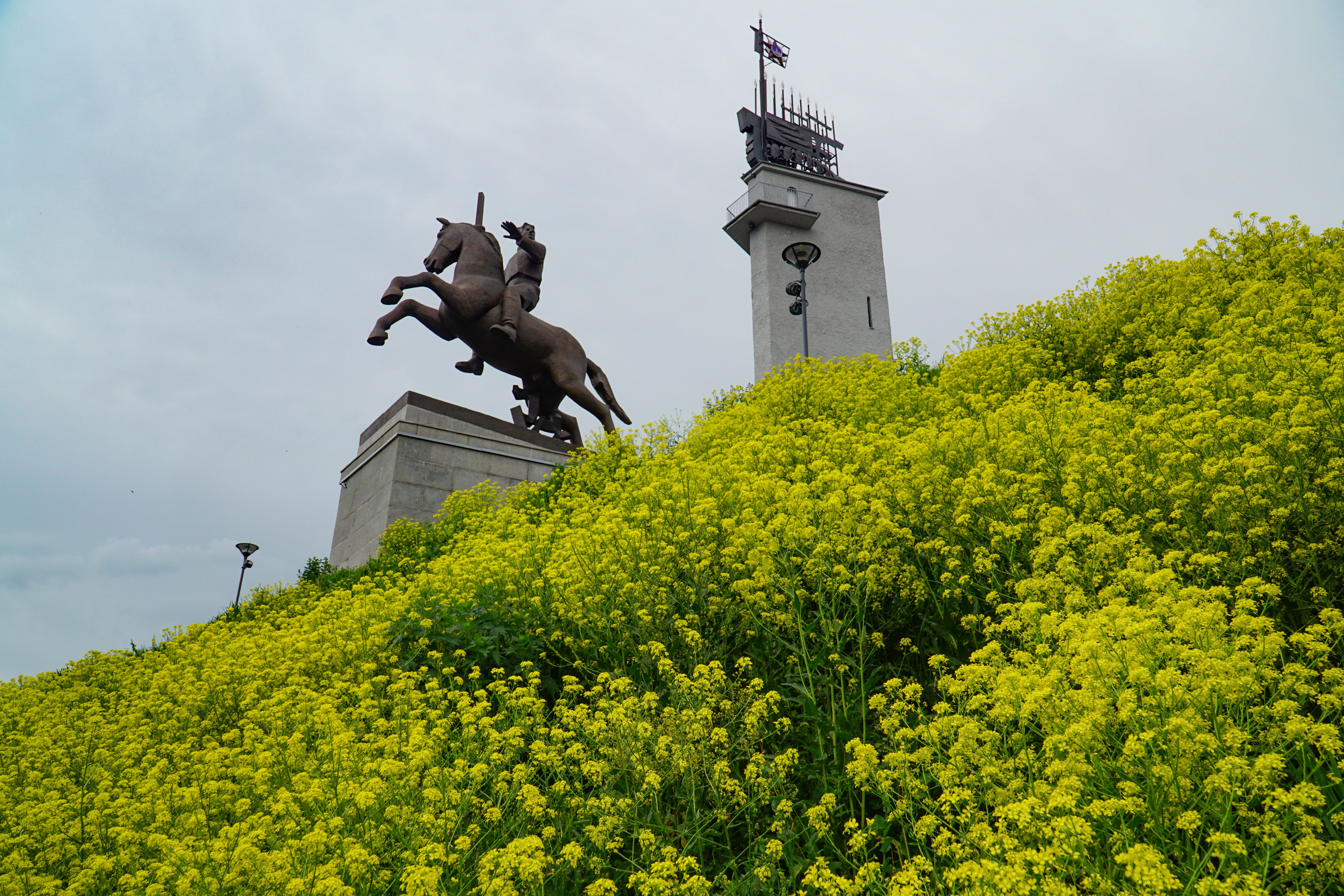 Horse Statue on a Field · Free Stock Photo