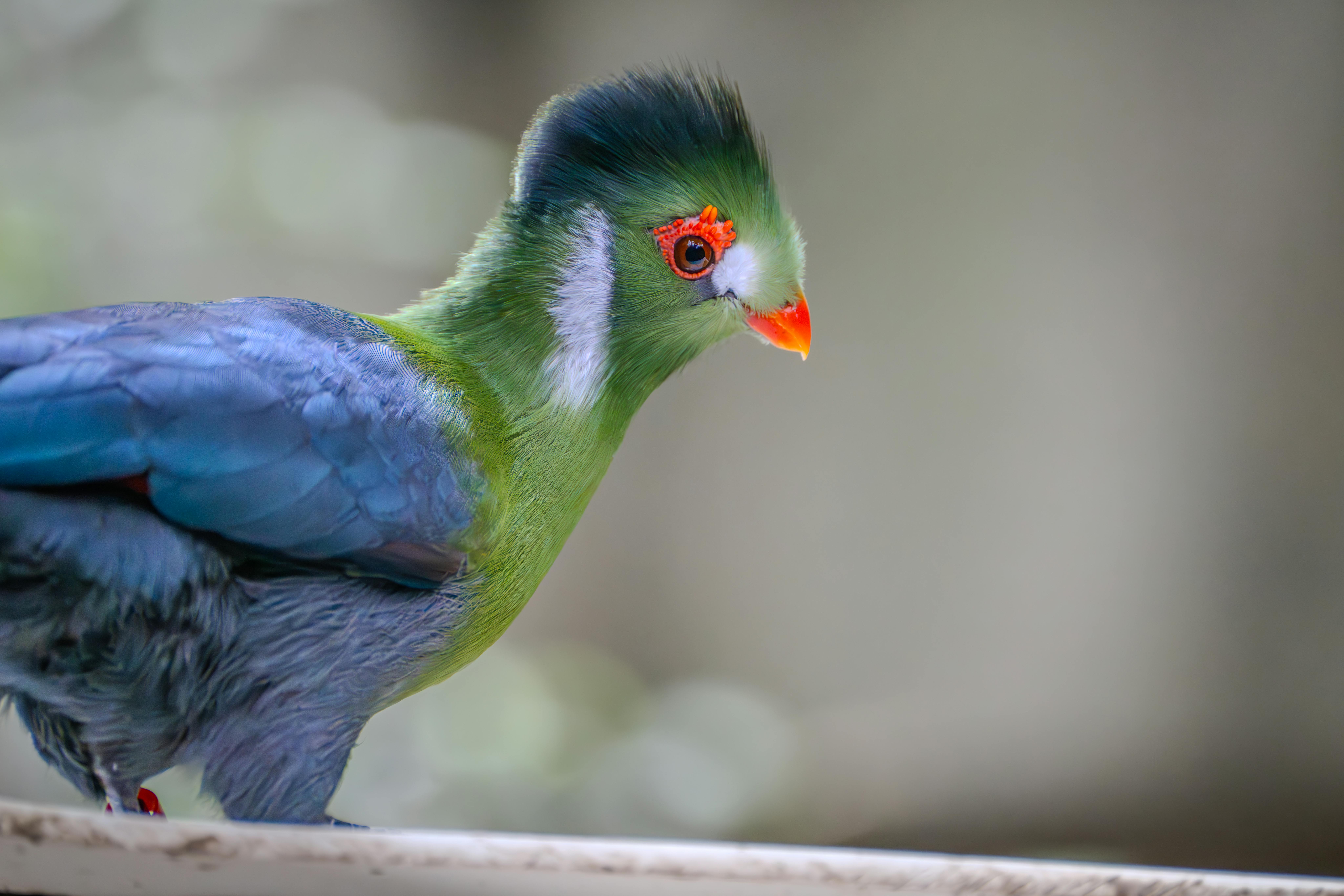 Eye Marking Photos, Download The BEST Free Eye Marking Stock Photos ...