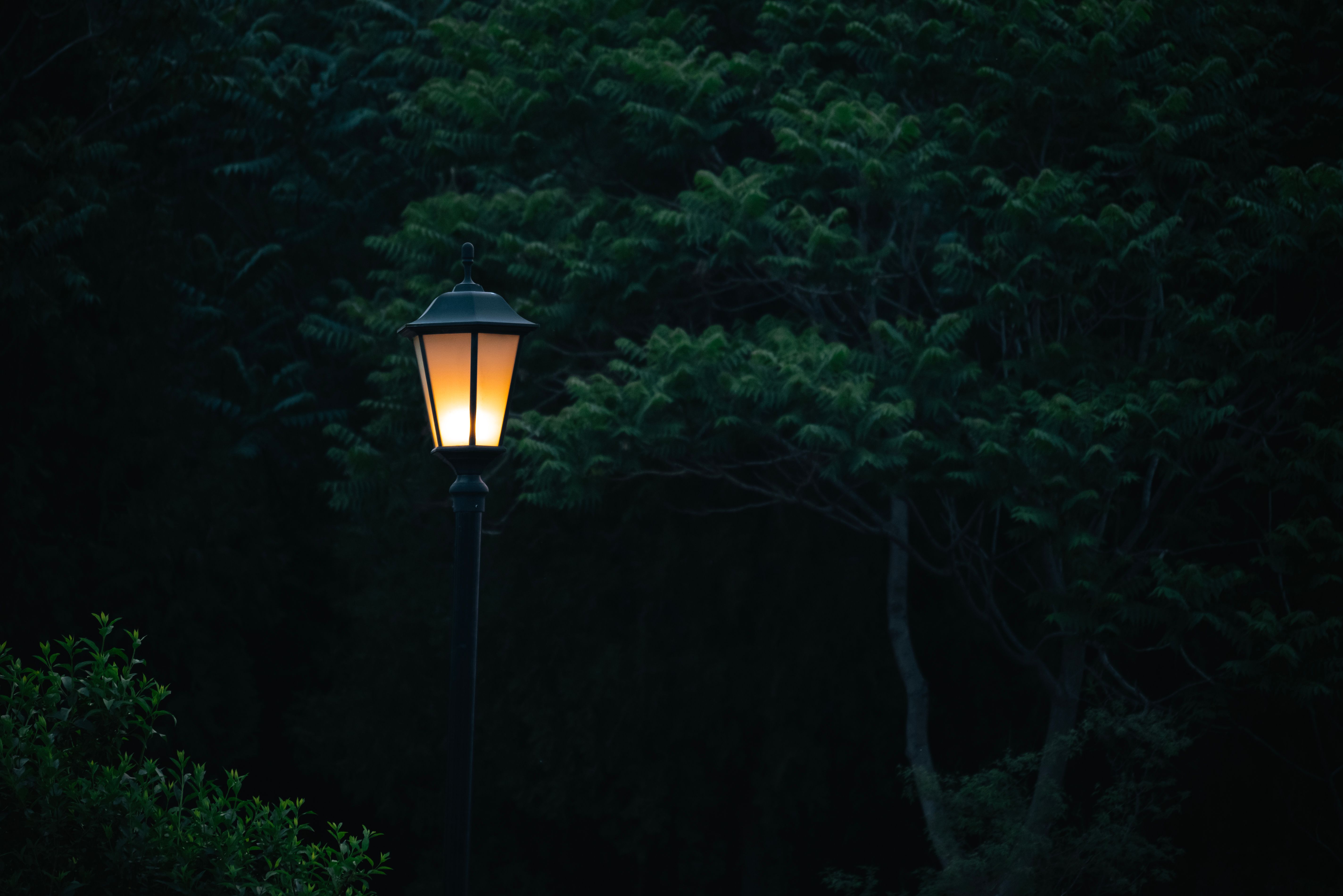 Lamp in Park · Free Stock Photo