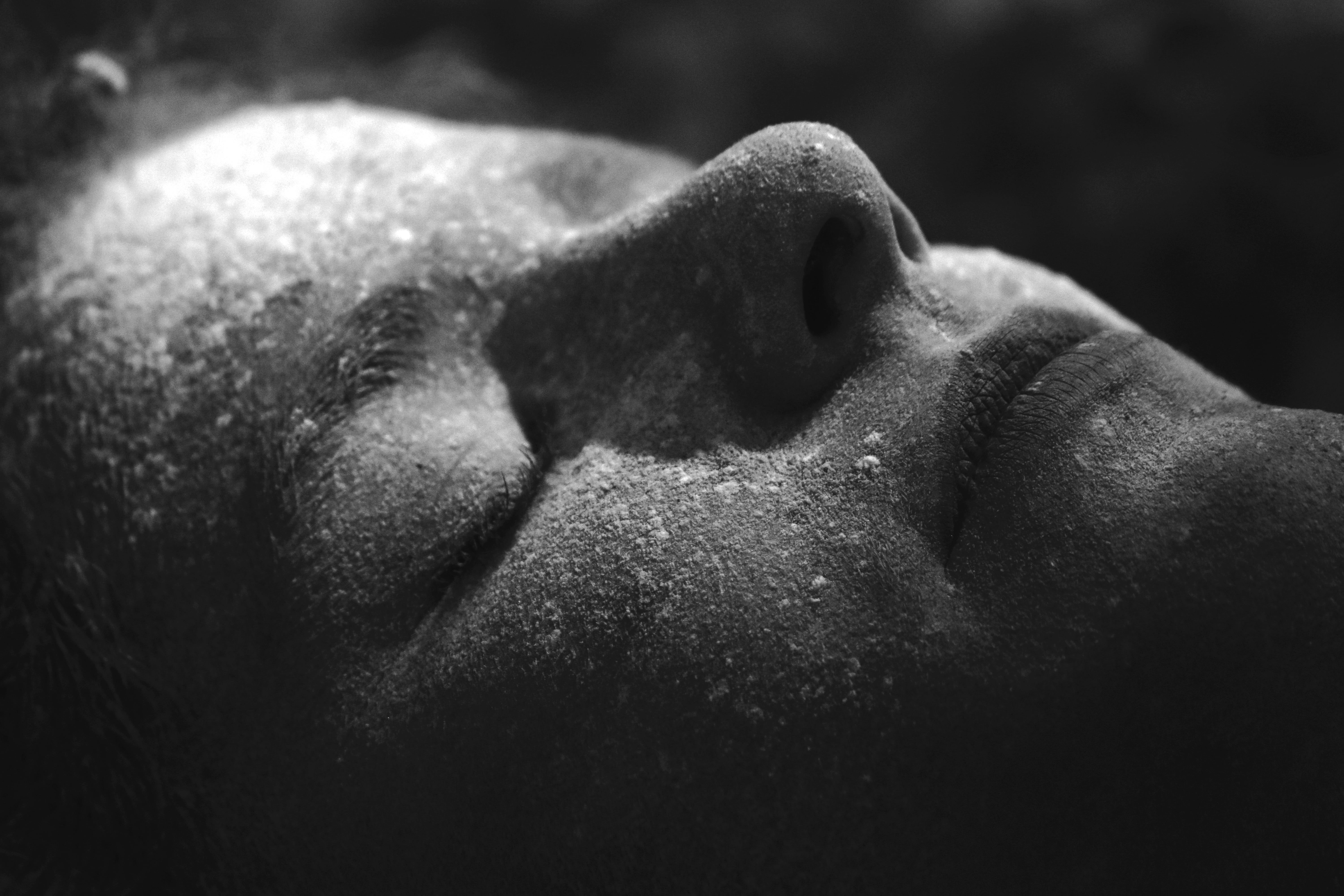 Powder on Woman Face · Free Stock Photo